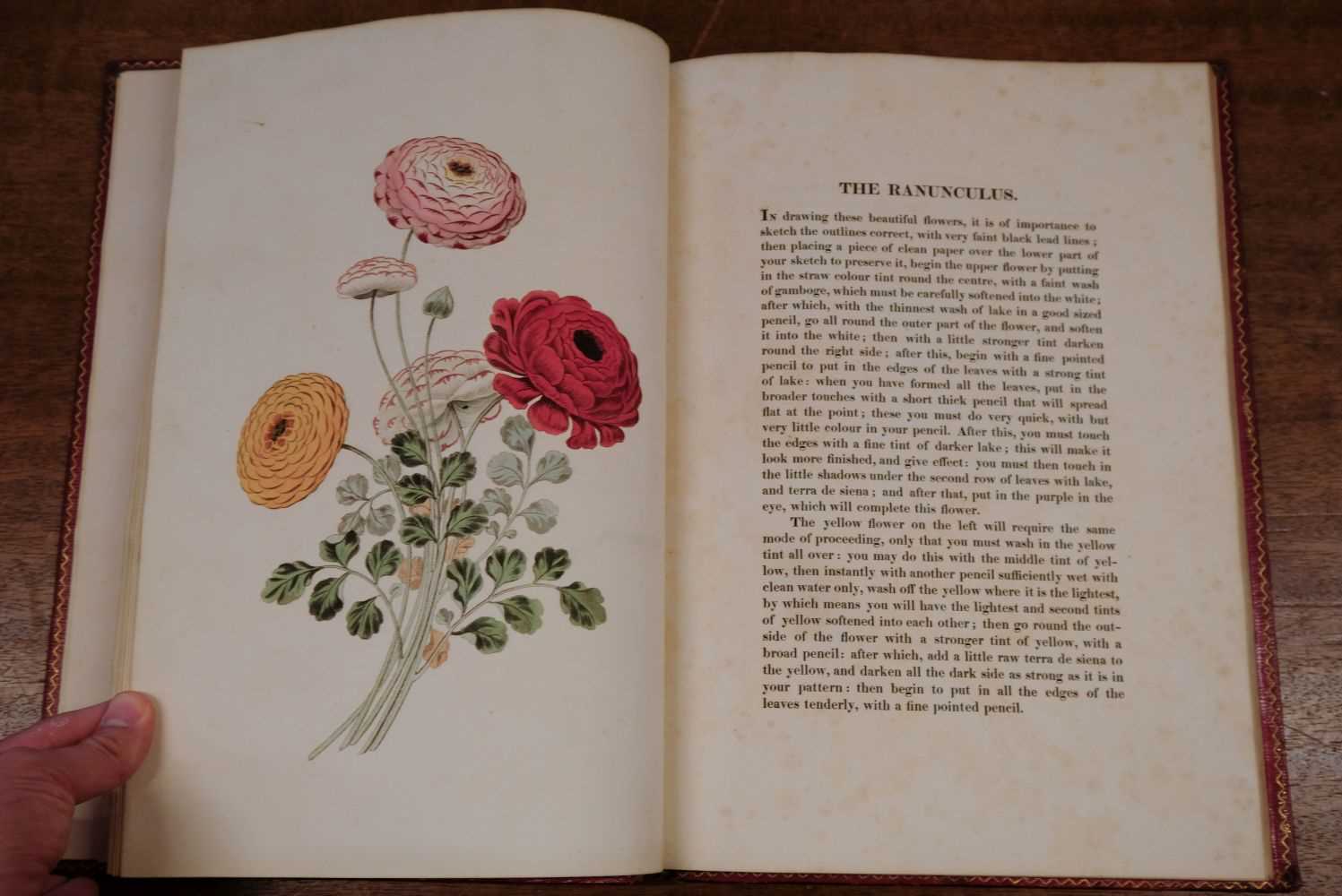 Lot 87 - Brookshaw (George). Groups of Flowers,