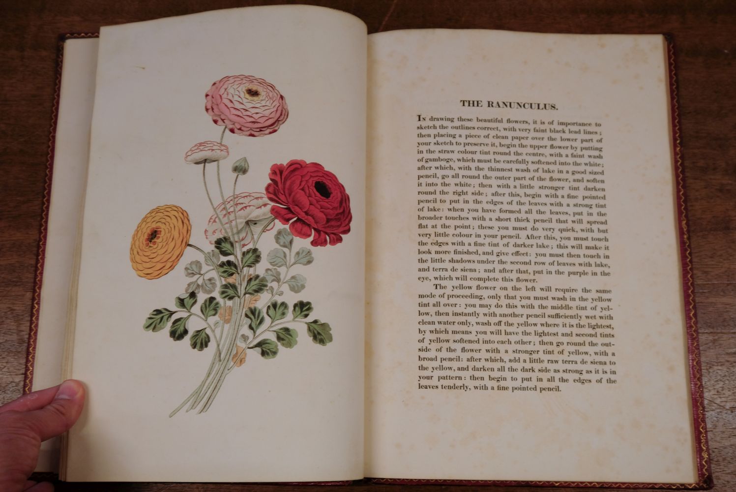 Lot 87 - Brookshaw (George). Groups of Flowers,