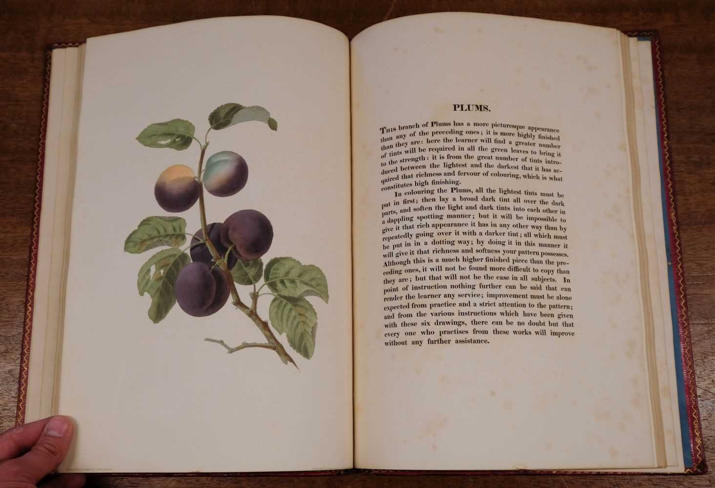 Lot 87 - Brookshaw (George). Groups of Flowers,