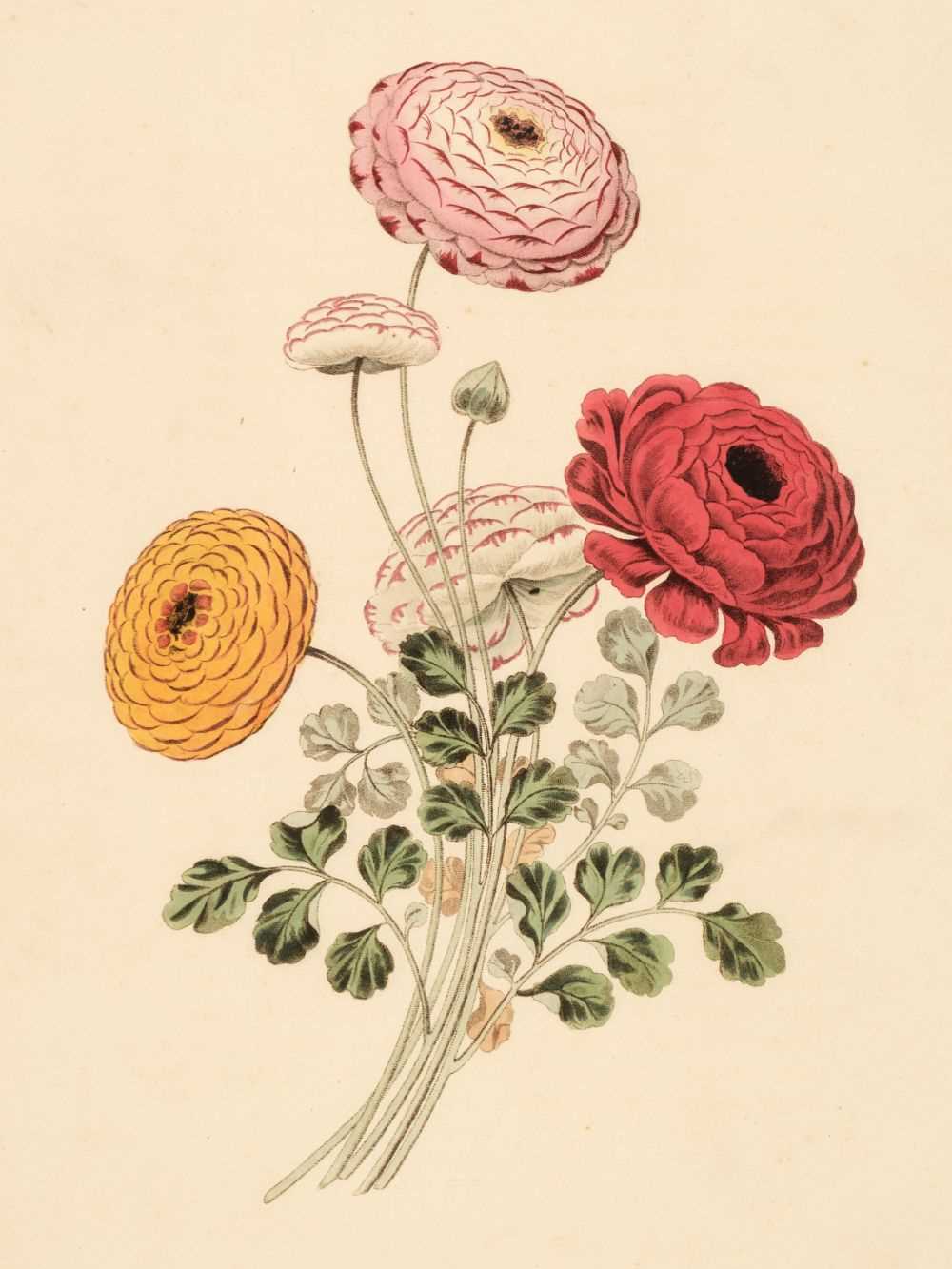 Lot 87 - Brookshaw (George). Groups of Flowers,