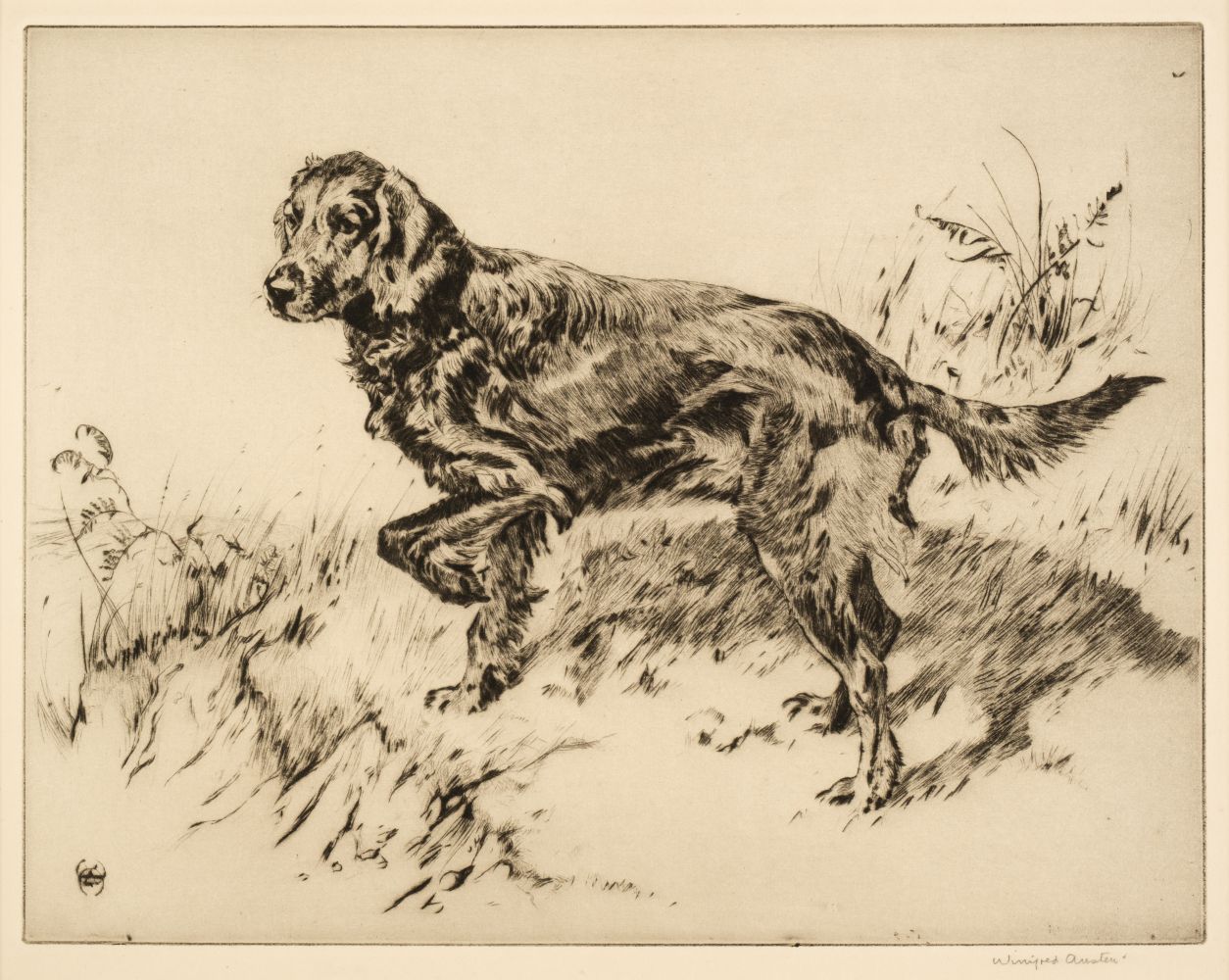 Lot 474 - Austin (Winifred, 1876-1964). Irish Setter