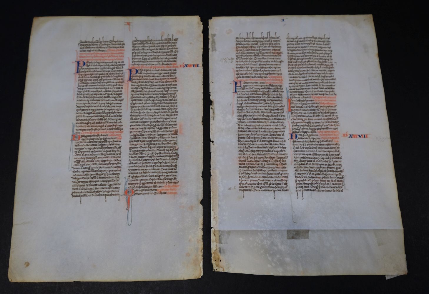 Lot 335 - Petrus Lombardus. 3 Manuscript leaves