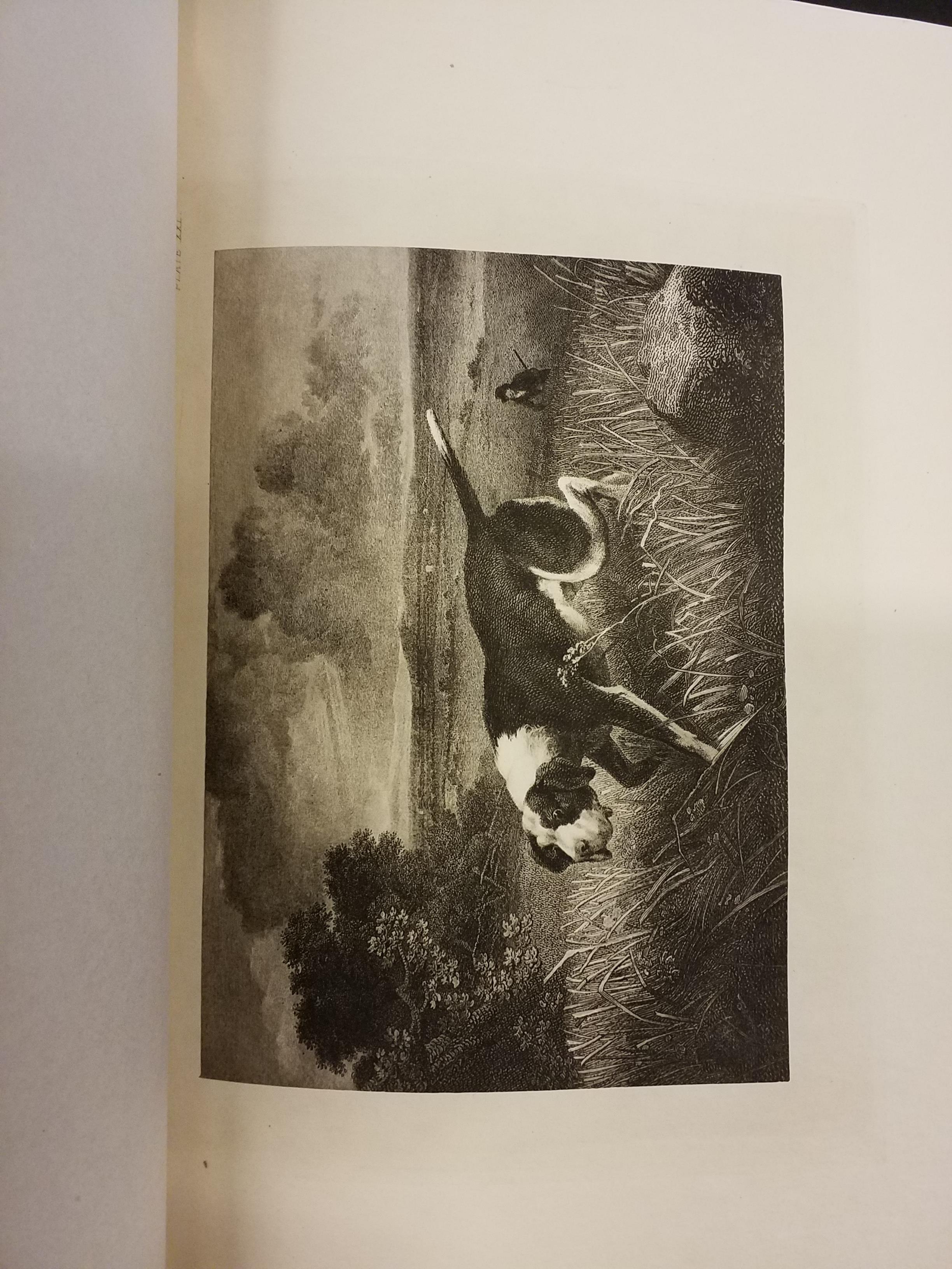 Lot 38 - Arkwright (William). The Pointer, 1902