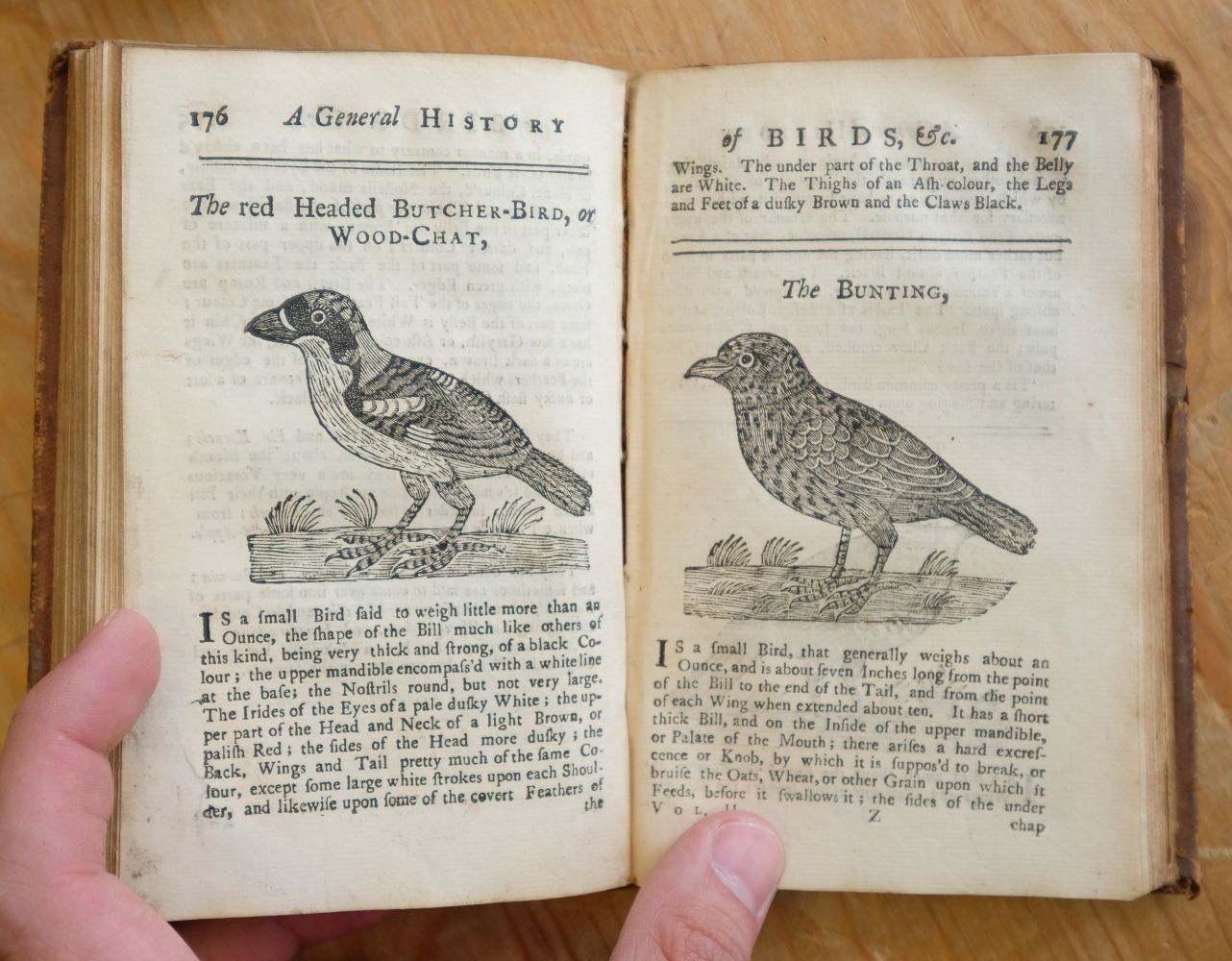 Lot 63 - Ornithologia Nova. A New General History of