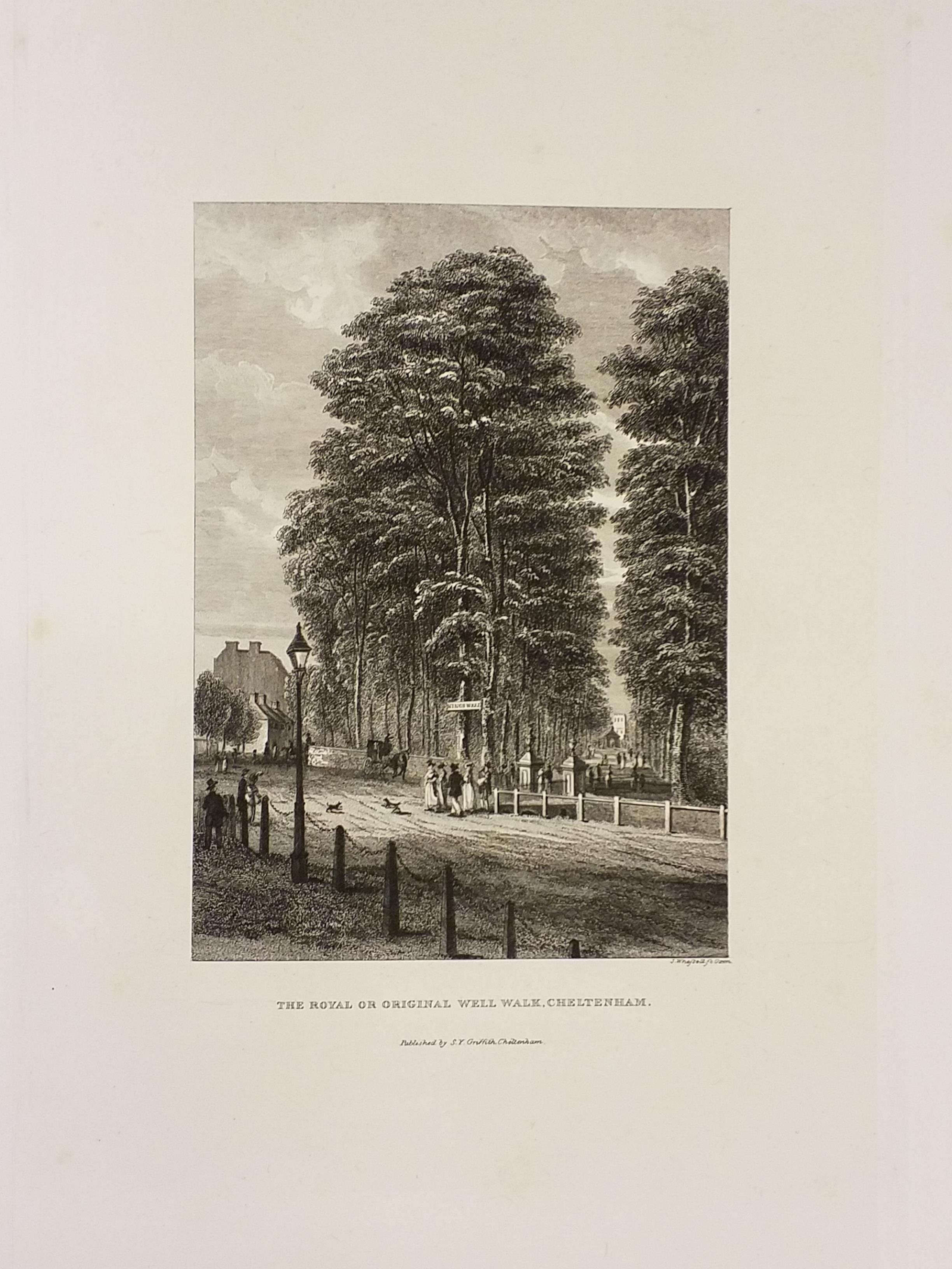 Lot 24 - Griffith (Samuel Young). Griffith's New