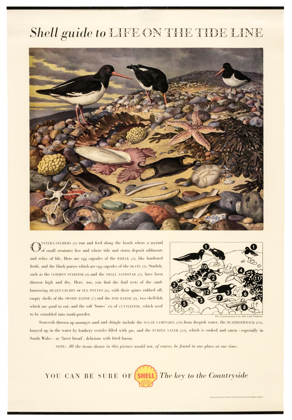 Lot 509 - Shell 'Key to the Countryside' posters. A