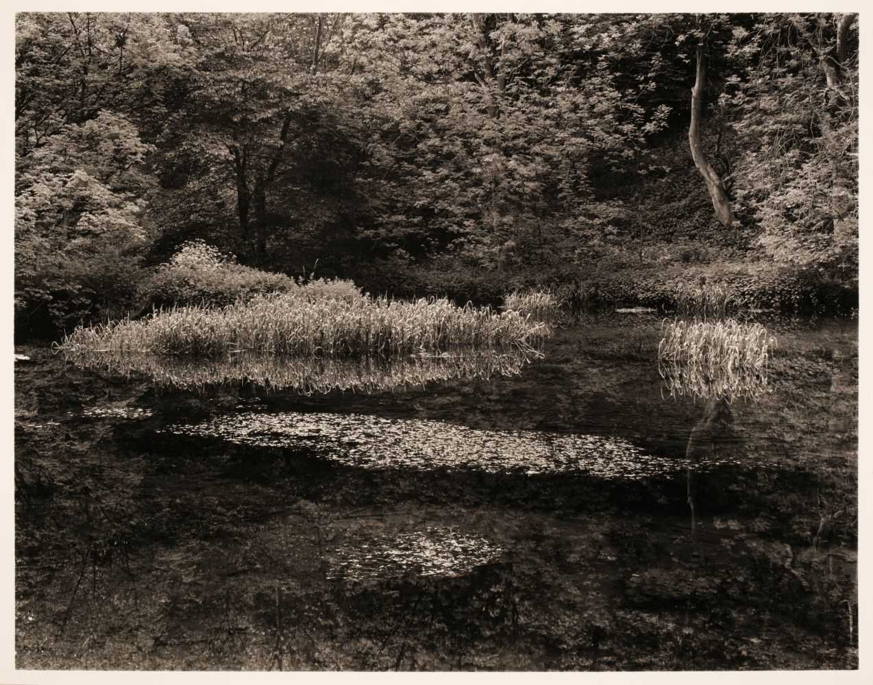 Lot 287 - Blakemore (John, 1936-). "Lathkill Dale,