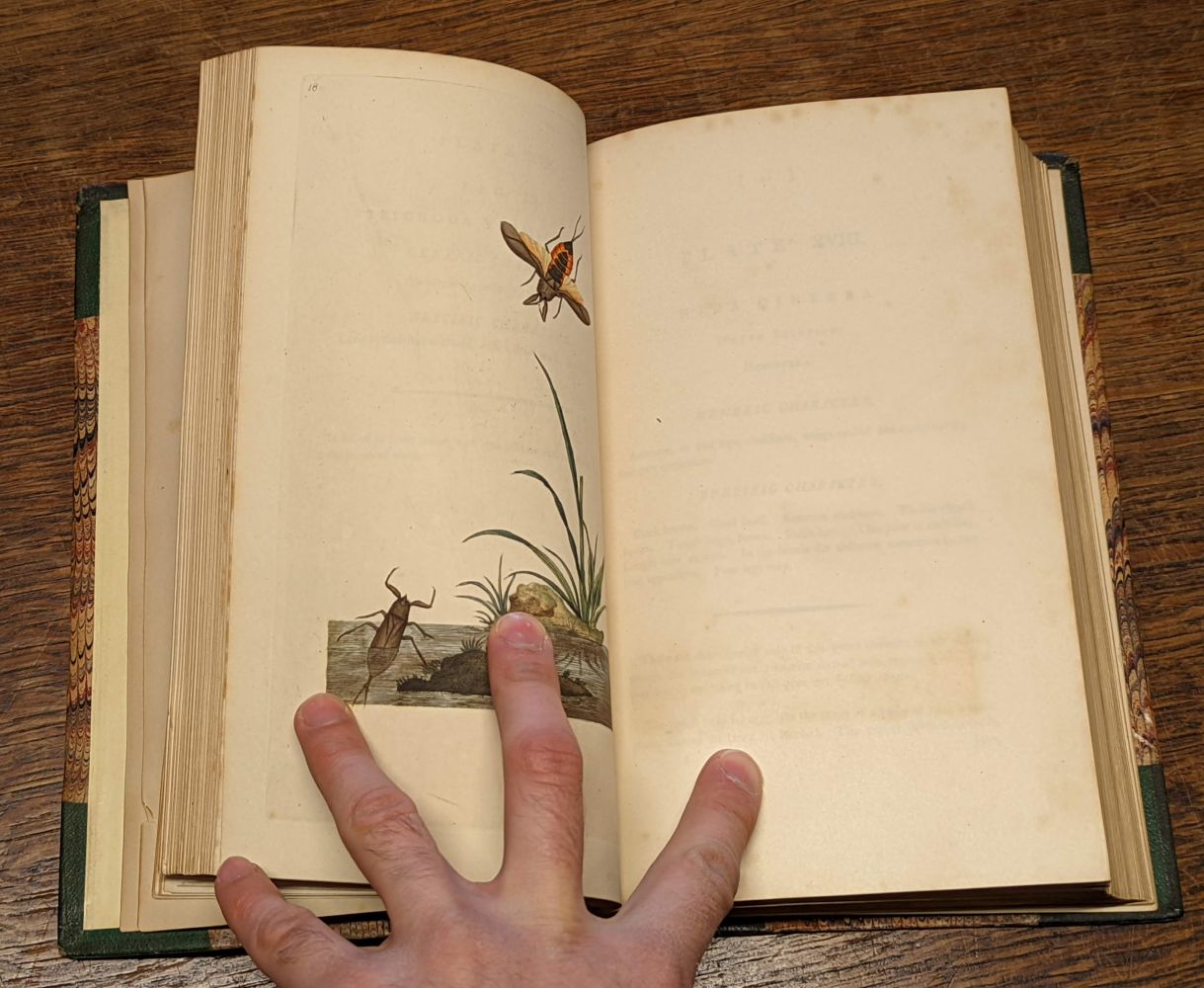 Lot 62 - Donovan (Edward). The Natural History of