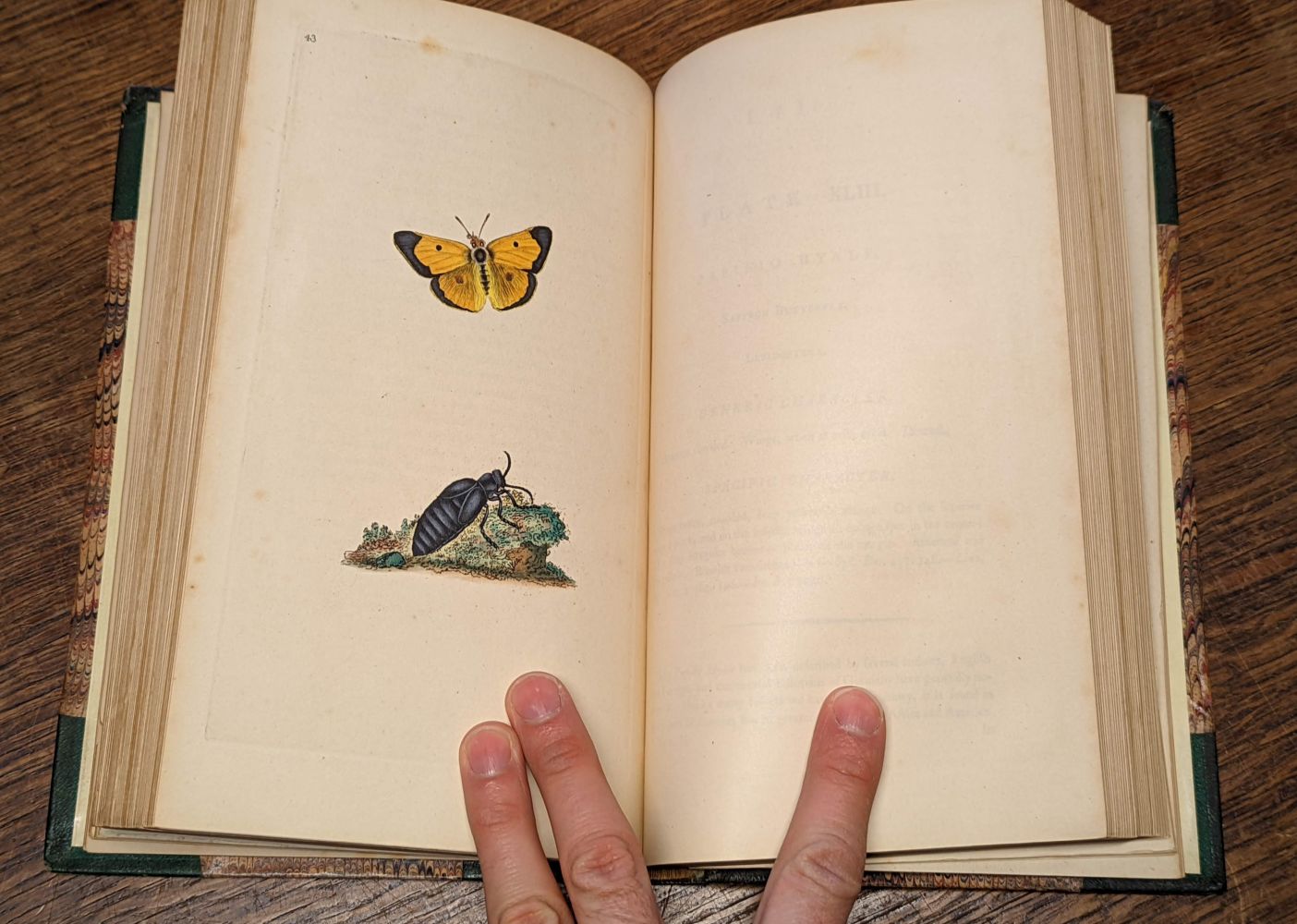 Lot 62 - Donovan (Edward). The Natural History of