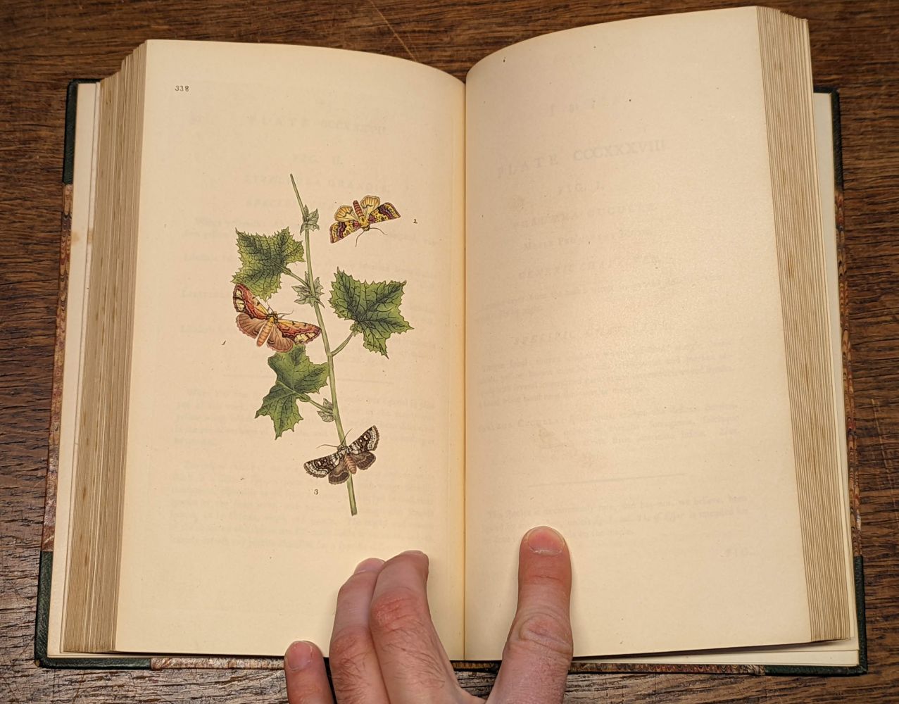 Lot 62 - Donovan (Edward). The Natural History of