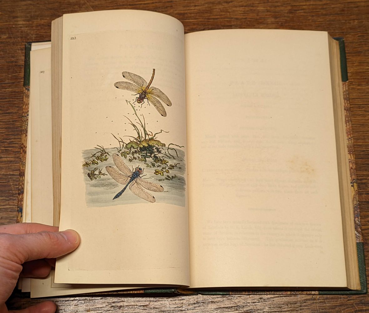 Lot 62 - Donovan (Edward). The Natural History of