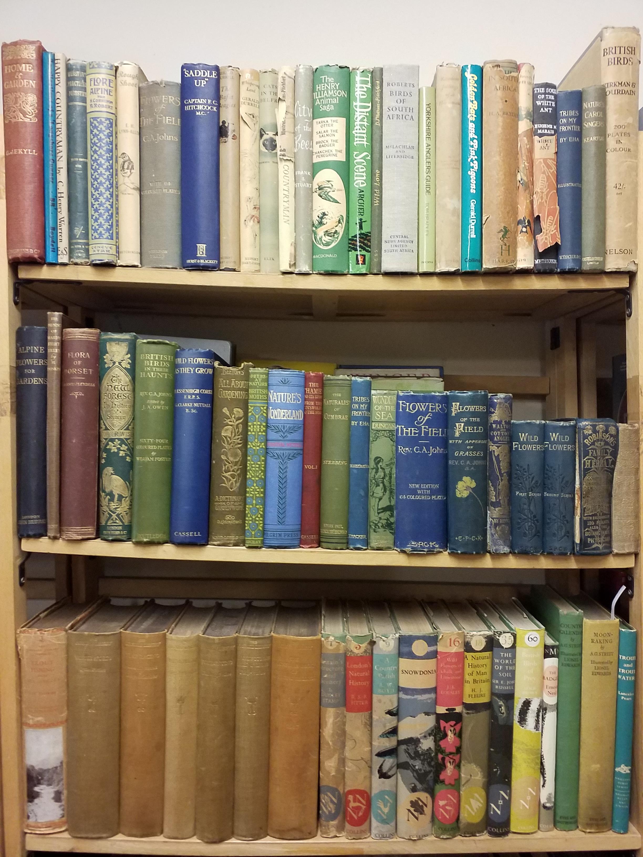 Lot 365 - Natural History. A large collection of