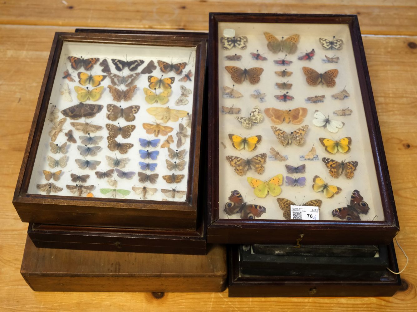 Lot 76 - Lepidoptera. A collection of British