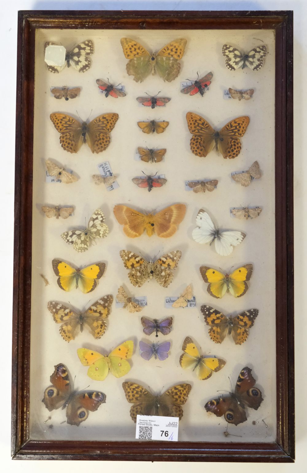 Lot 76 - Lepidoptera. A collection of British