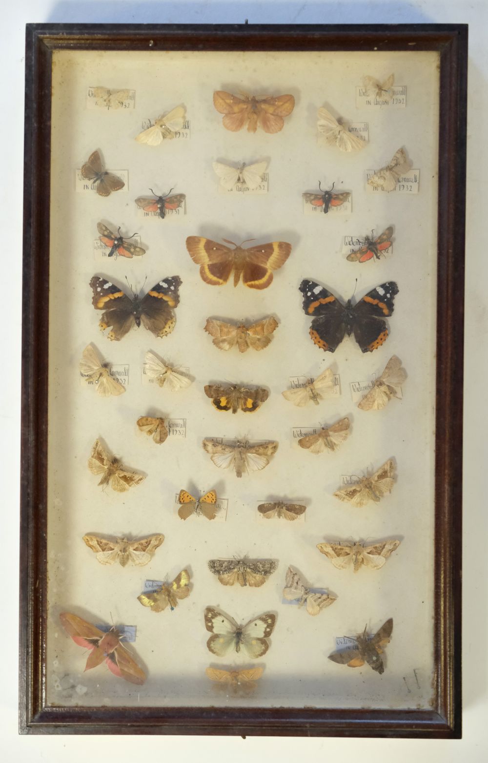 Lot 76 - Lepidoptera. A collection of British