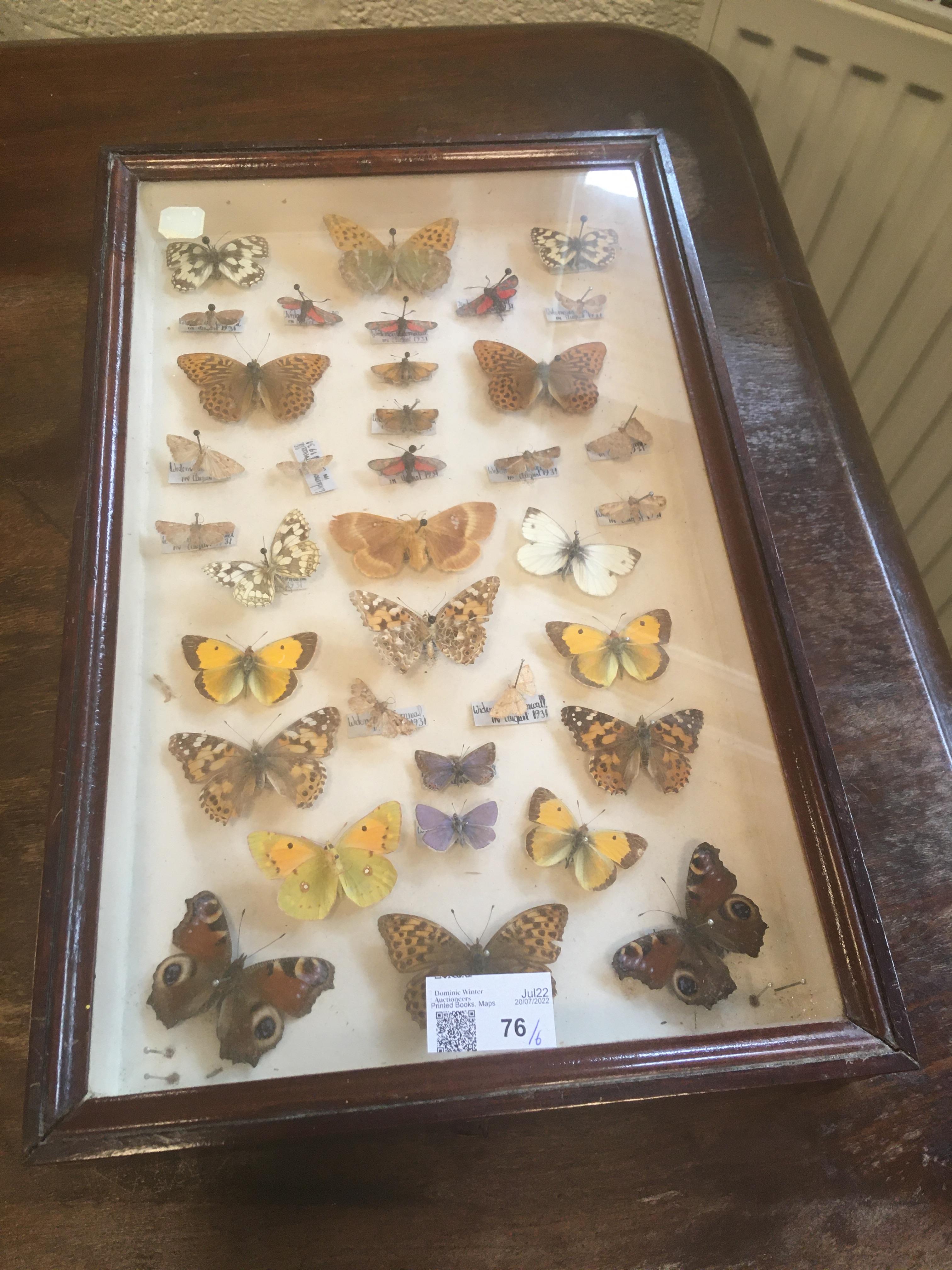 Lot 76 - Lepidoptera. A collection of British