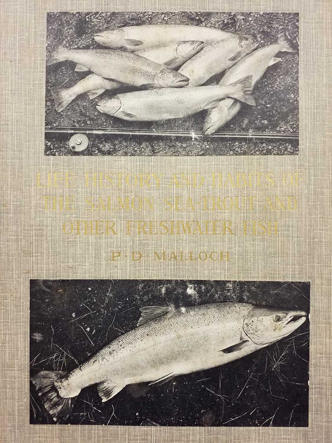 Lot 137 - Fishing. A large collection of game & sea