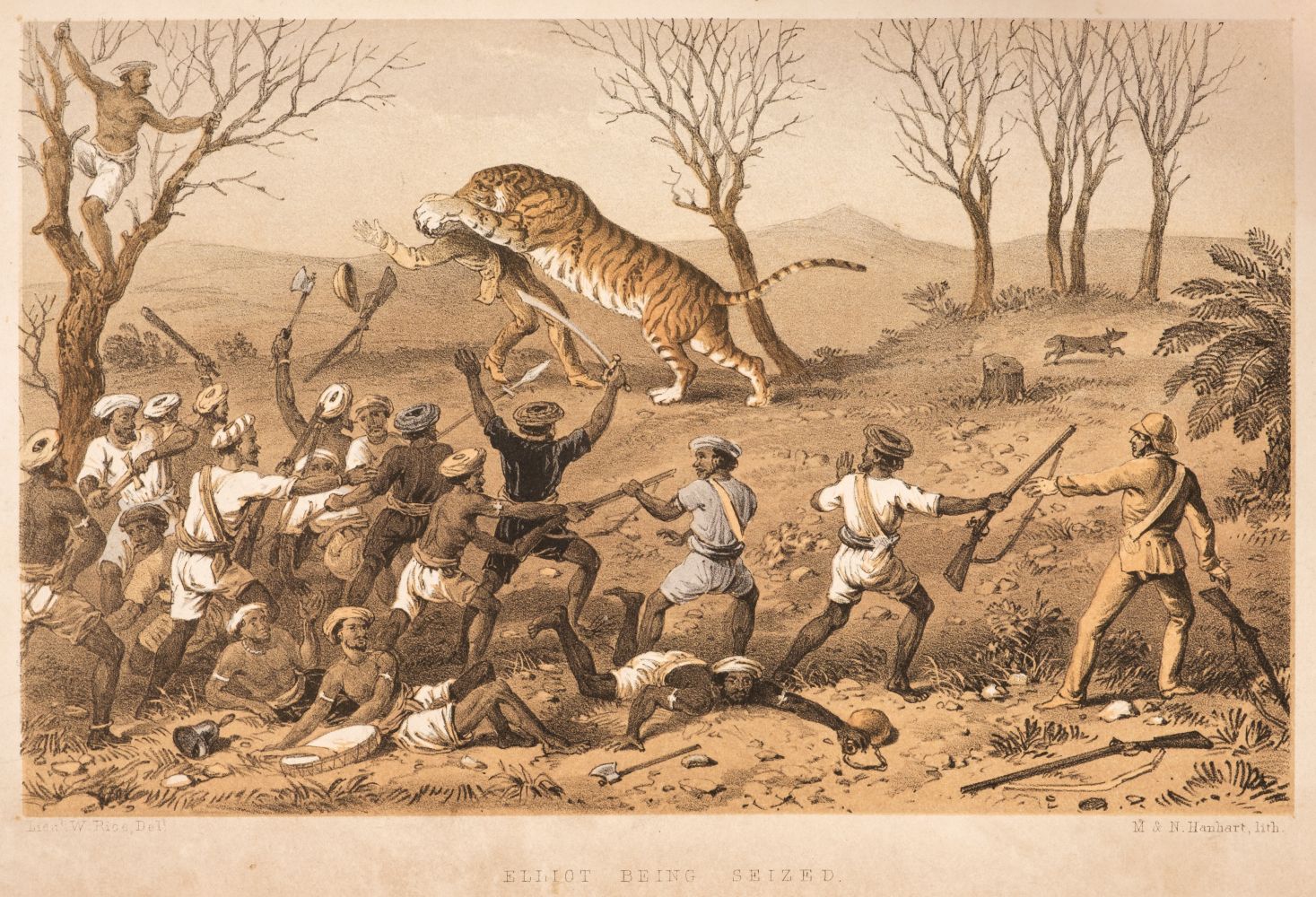 Lot 64 - Rice (William). Tiger-Shooting in India, 1857
