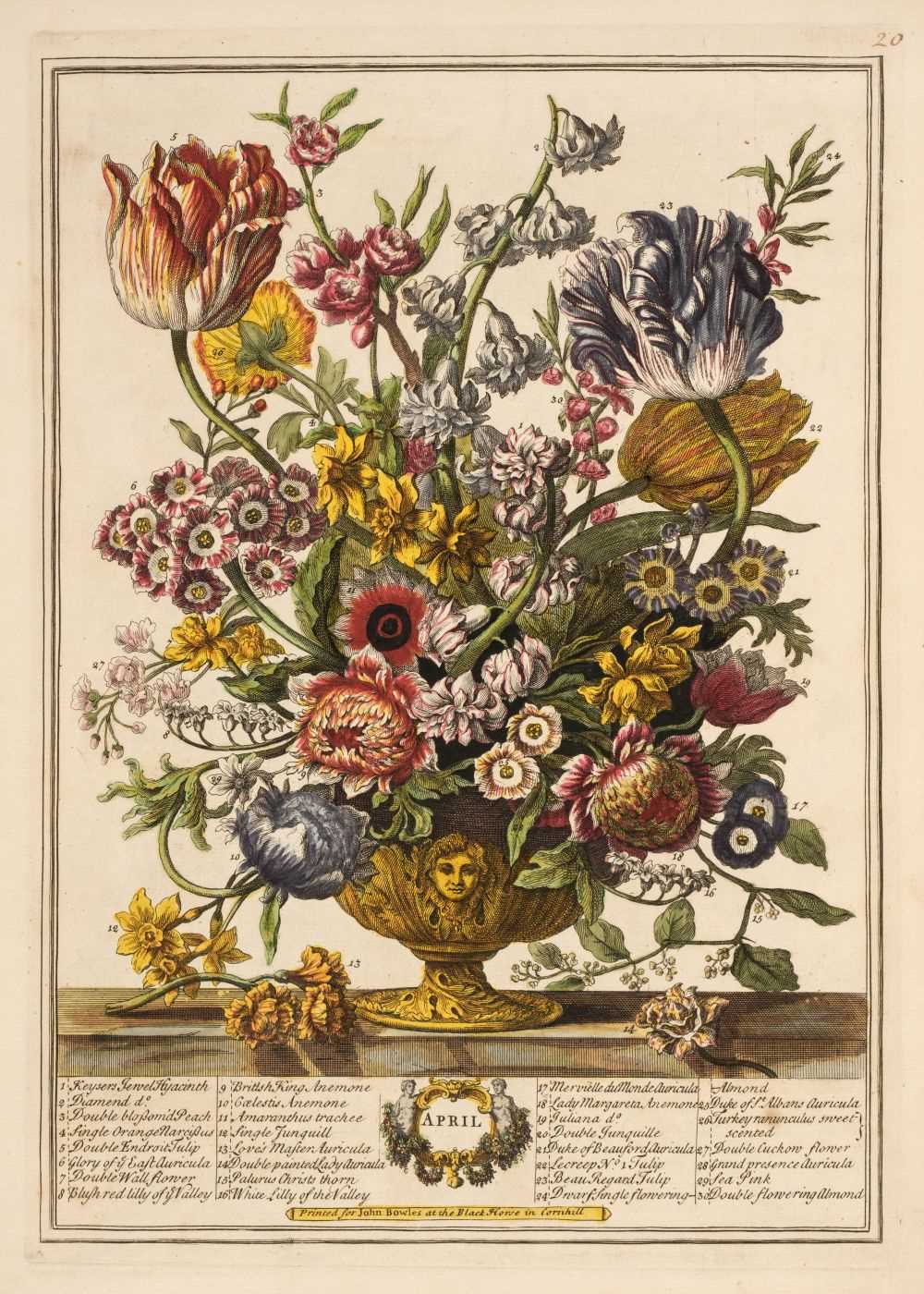 Lot 26 - Furber, Robert. Flora..., Beautiful Flowers
