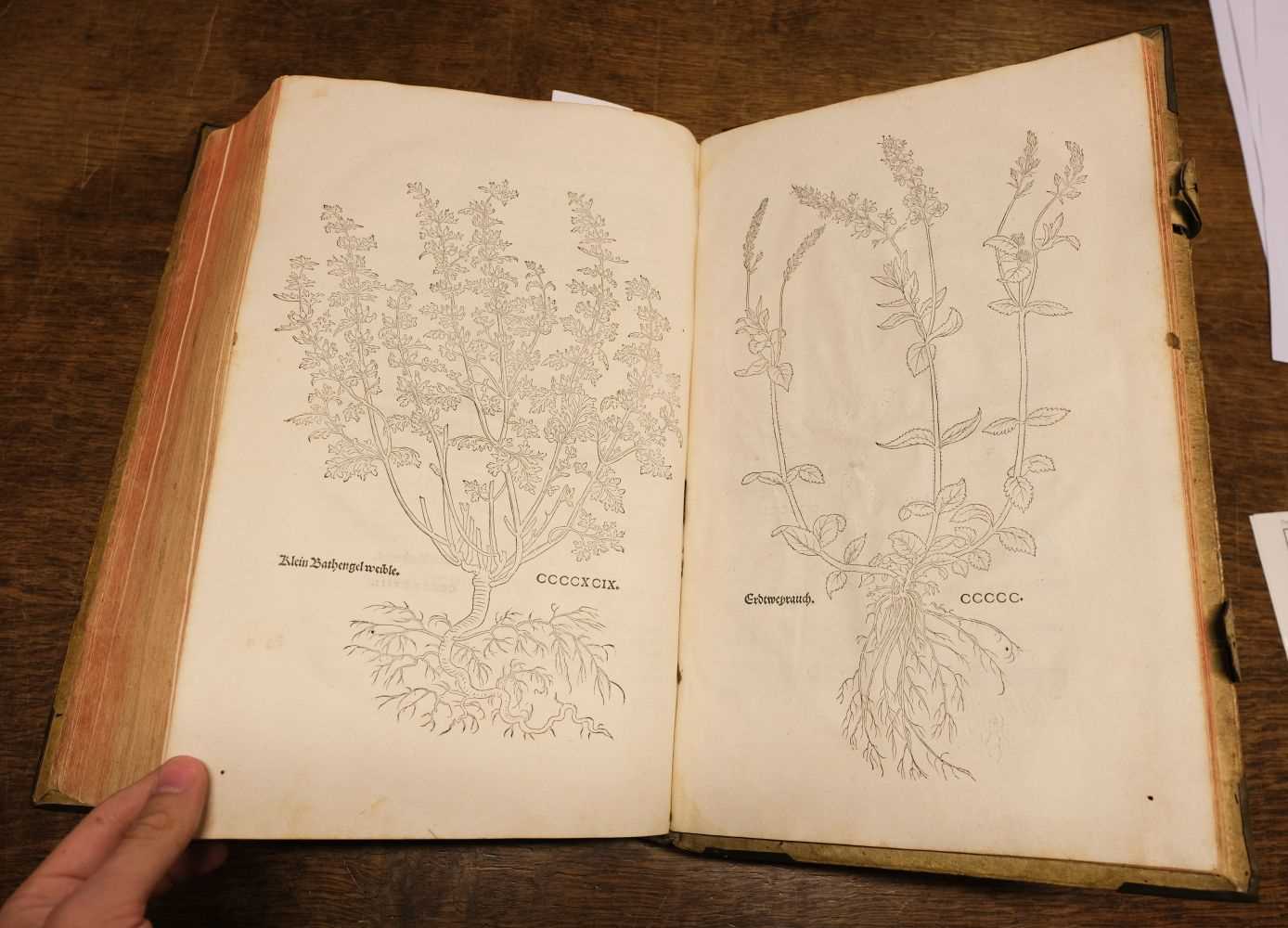 Lot 133 - Fuchs (Leonhart). New Kreüterbuch, 1st