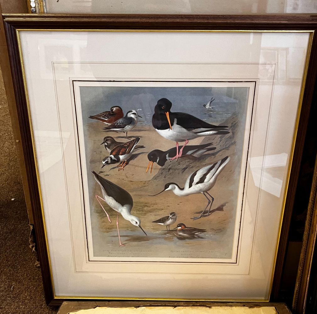 Lot 281 - Prints and Engravings. A collection of 32