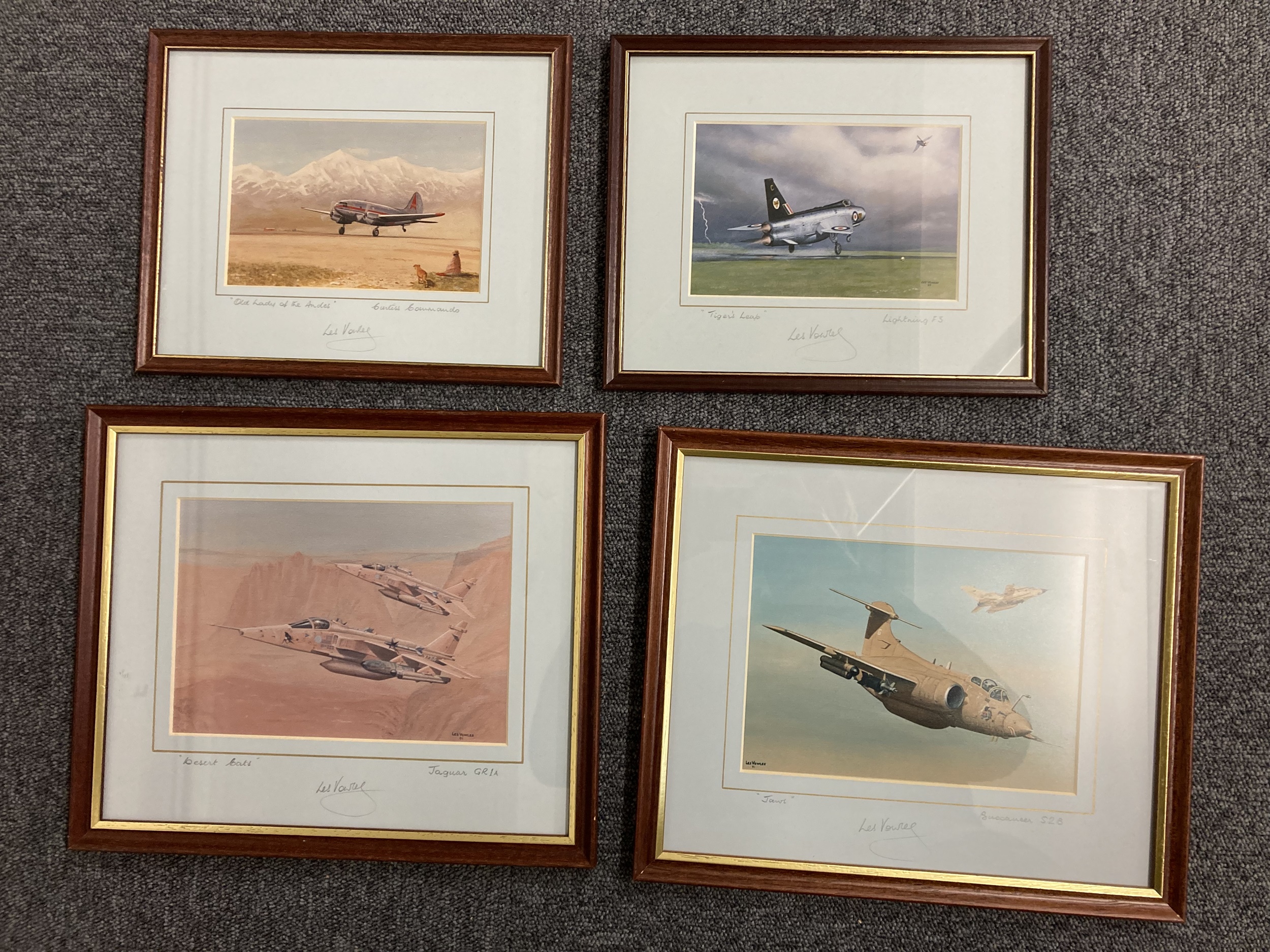 Lot 114 - Rondot (Michael). Lightning Legend, colour