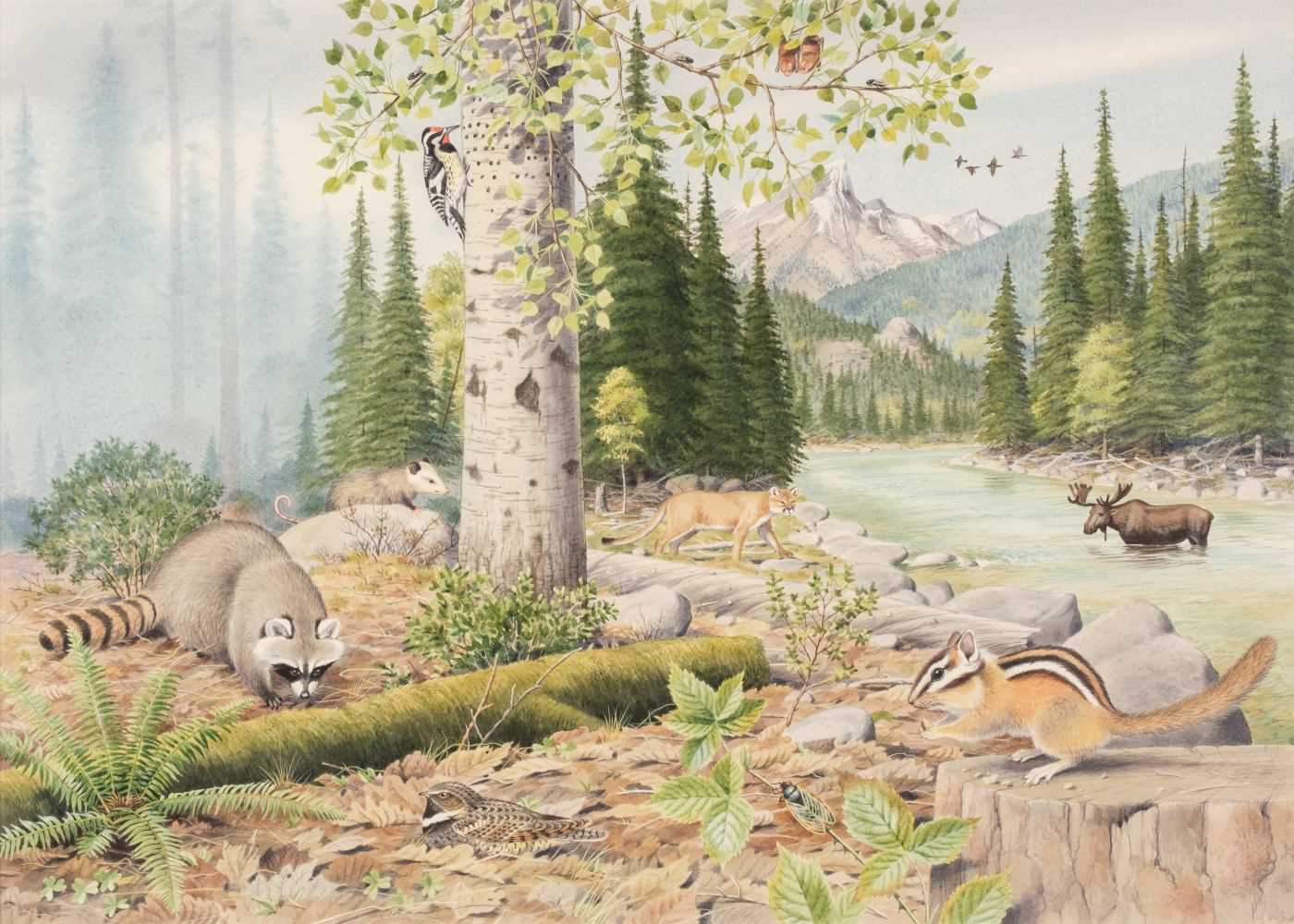 Lot 734 - Barrett (Peter, 1935). North American