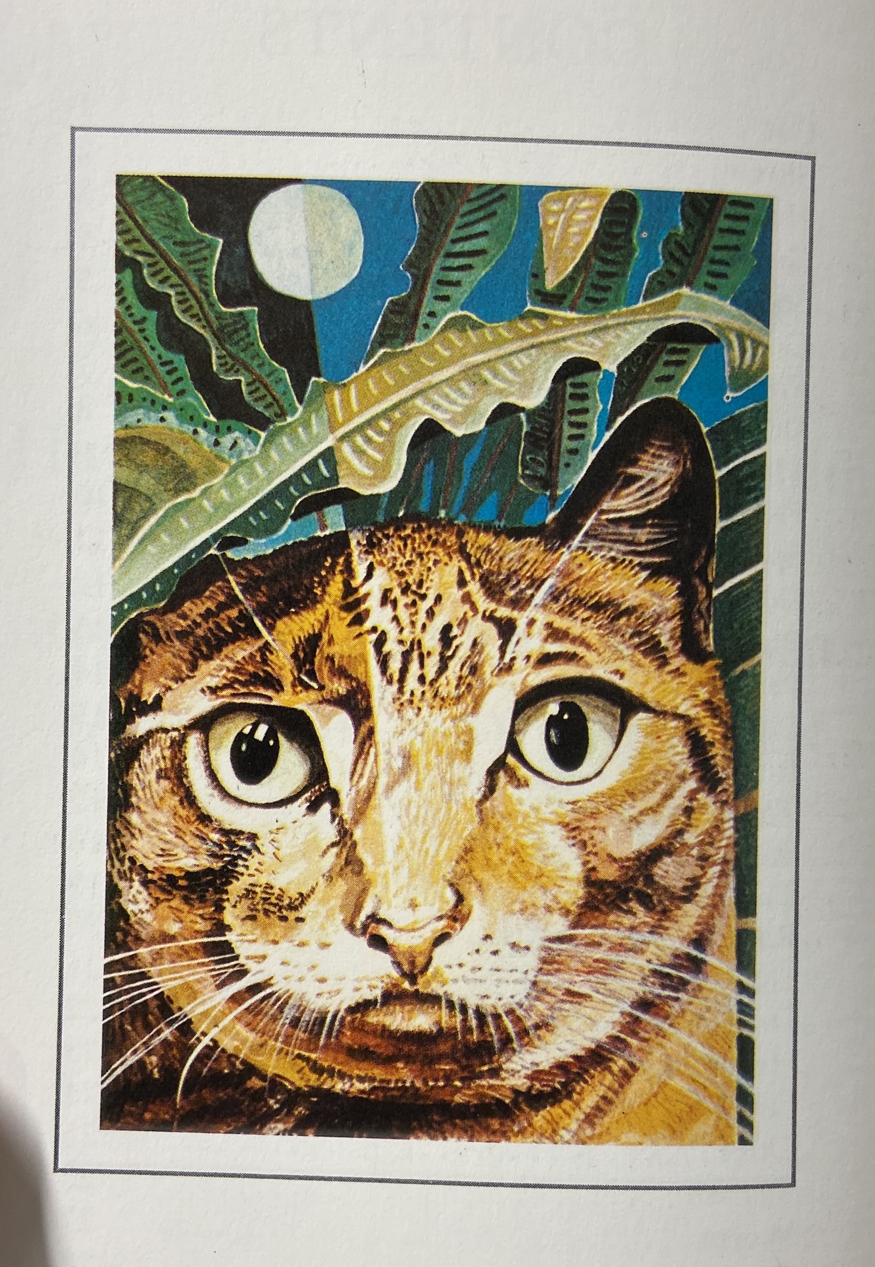 Lot 211 - Hughes (Ted). The Cat and the Cuckoo, 1987