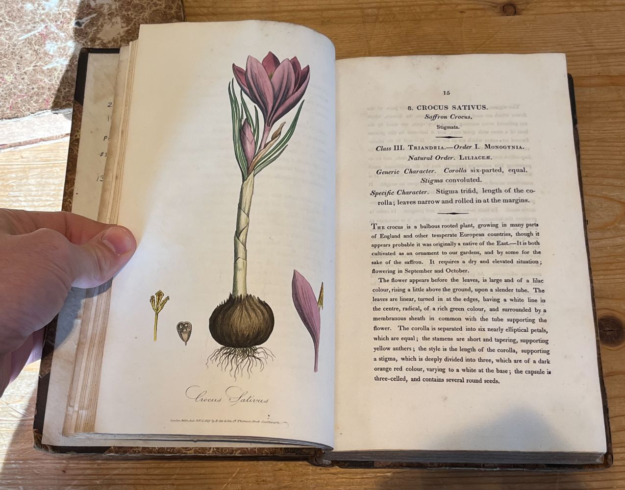 Lot 76 - Medical Botany. Medical Botany, 2 volumes,