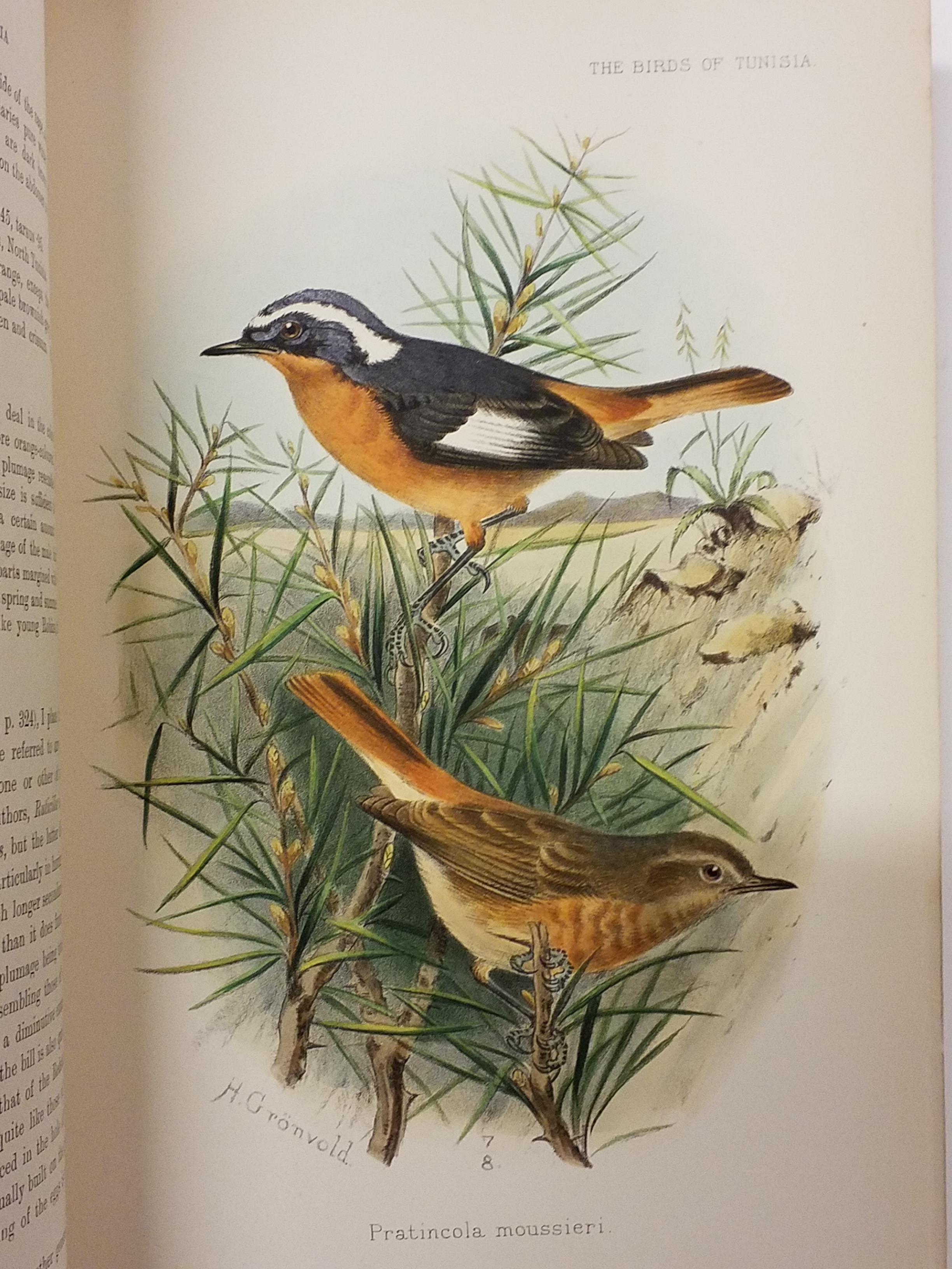Lot 75 - Whitaker (J.L.S.) The Birds of Tunisia, 2