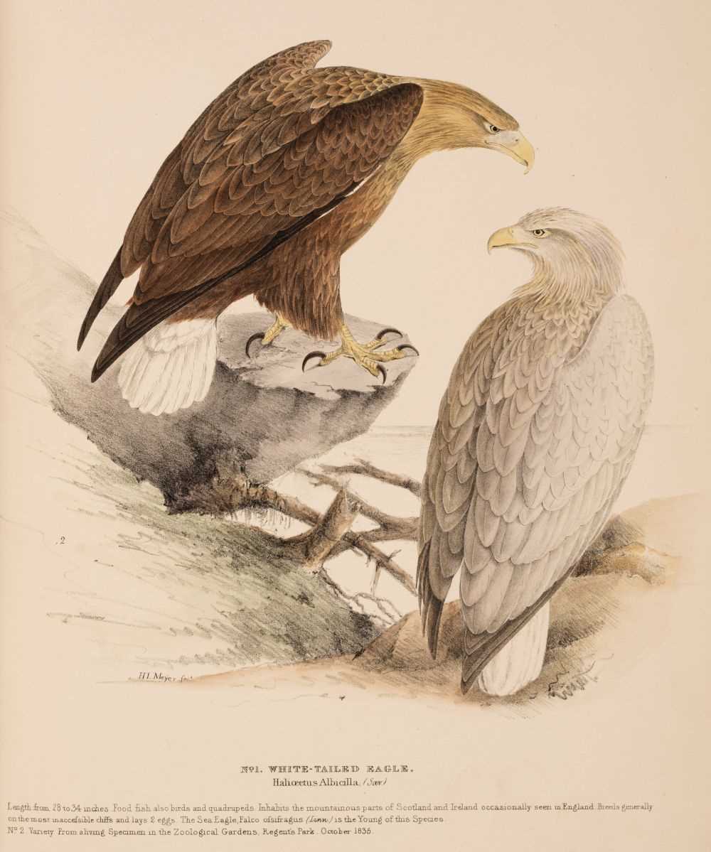 Lot 55 - Meyer (Henry Leonard). Illustrations of