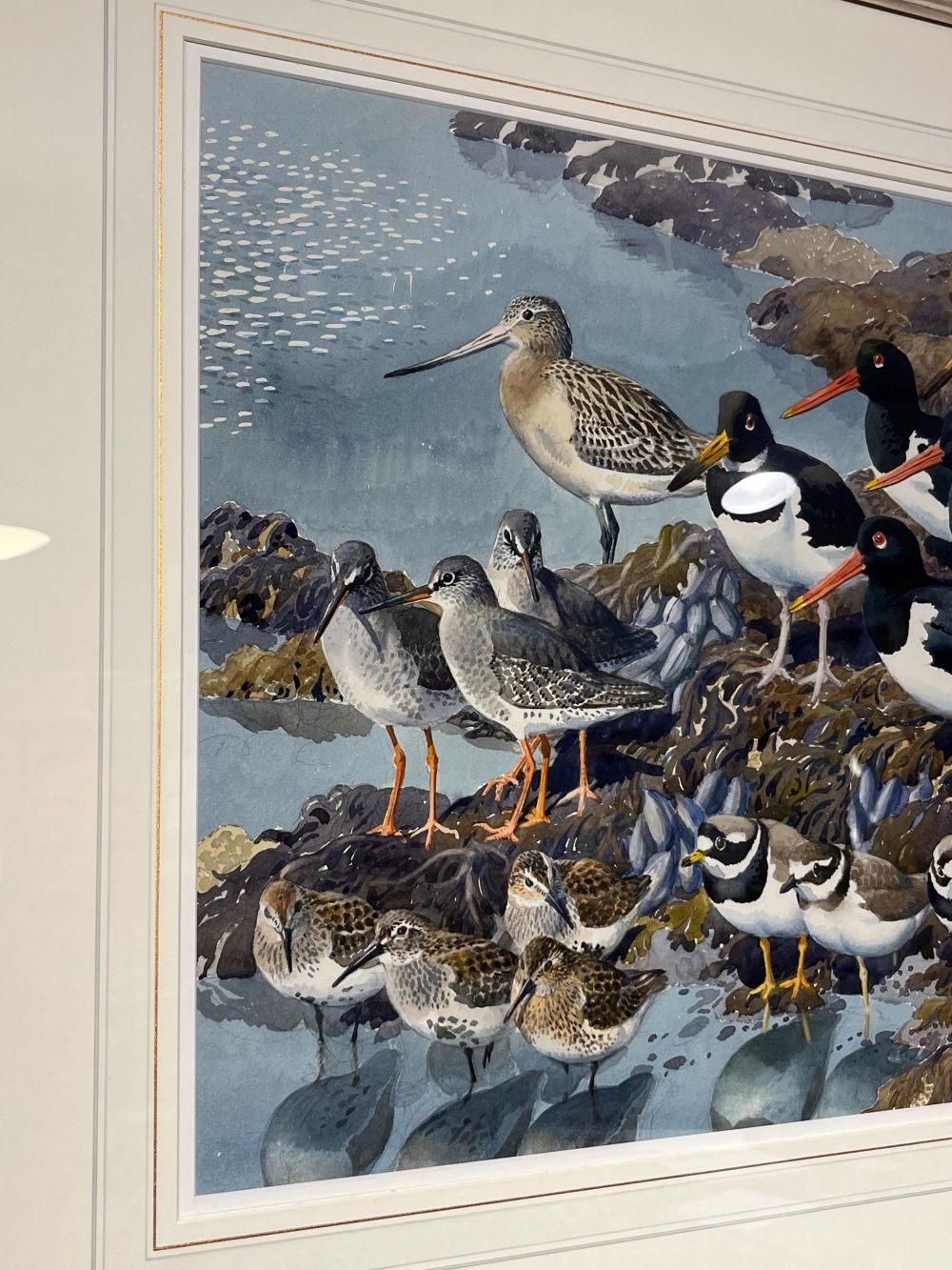 Lot 98 - Tunnicliffe (Charles Frederick, 1901-1979).