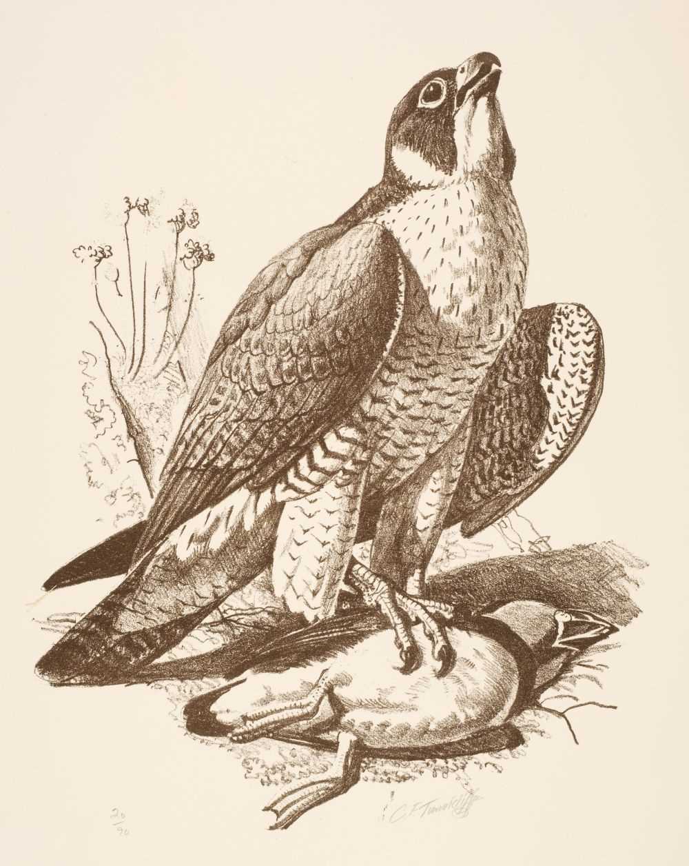 Lot 103 - Tunnicliffe (Charles Frederick, 1901-1979).