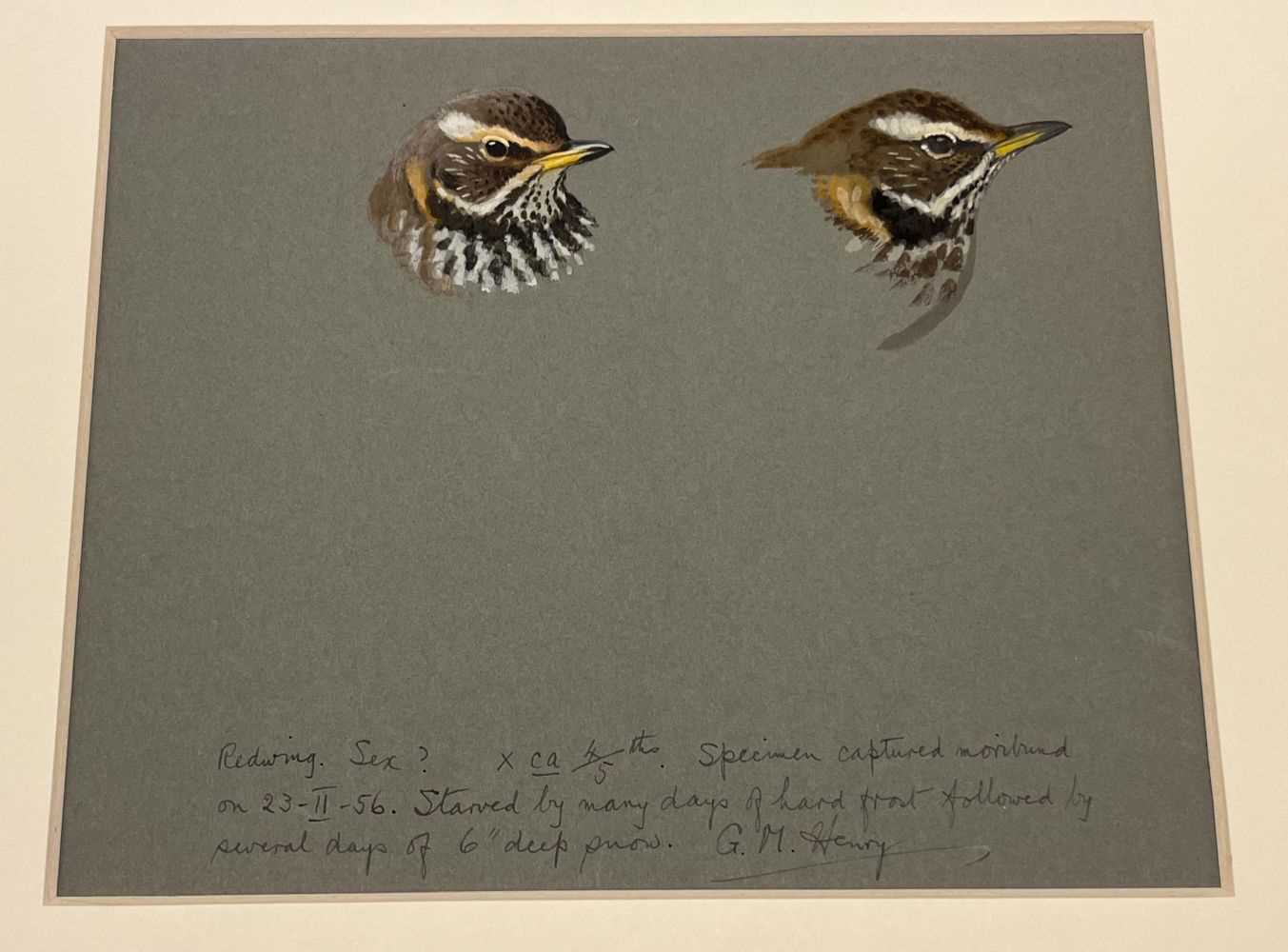 Lot 94 - Scott (Sir Peter Markham, 1909-1989). Bewick'