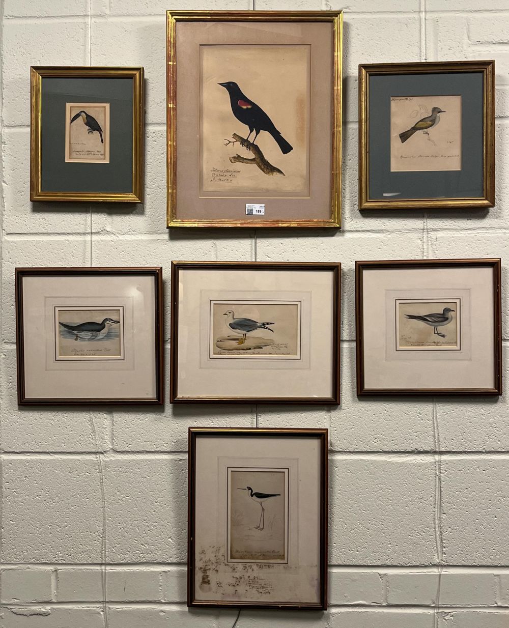Lot 189 - Birds. A group of 7 original watercolour and