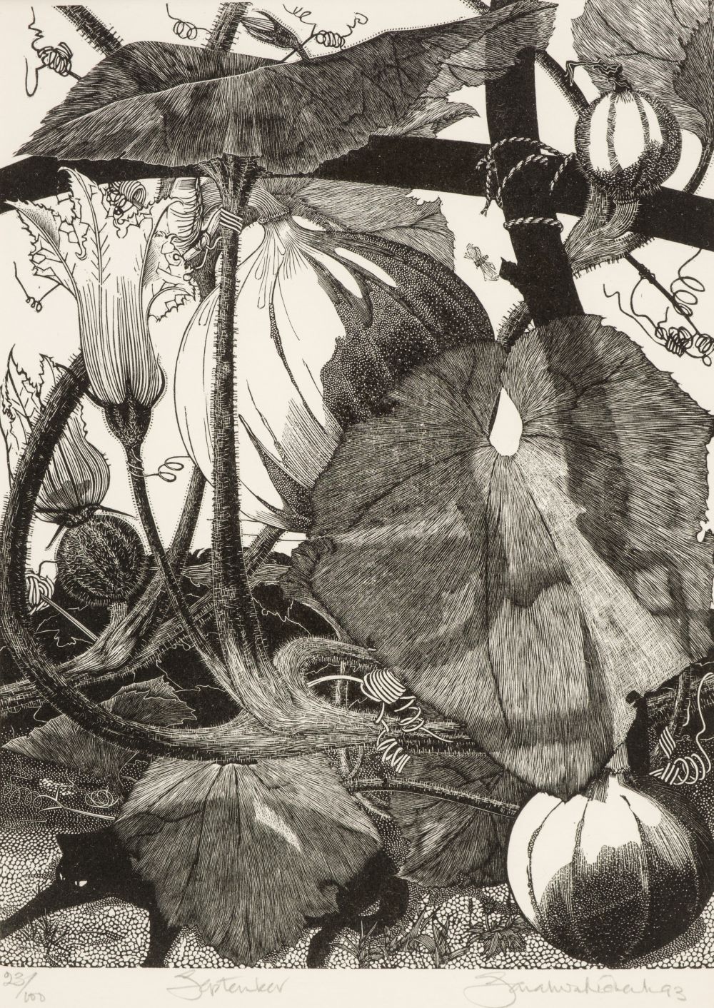 Lot 126 - Goaman (Victoria, 20th century). Botanical