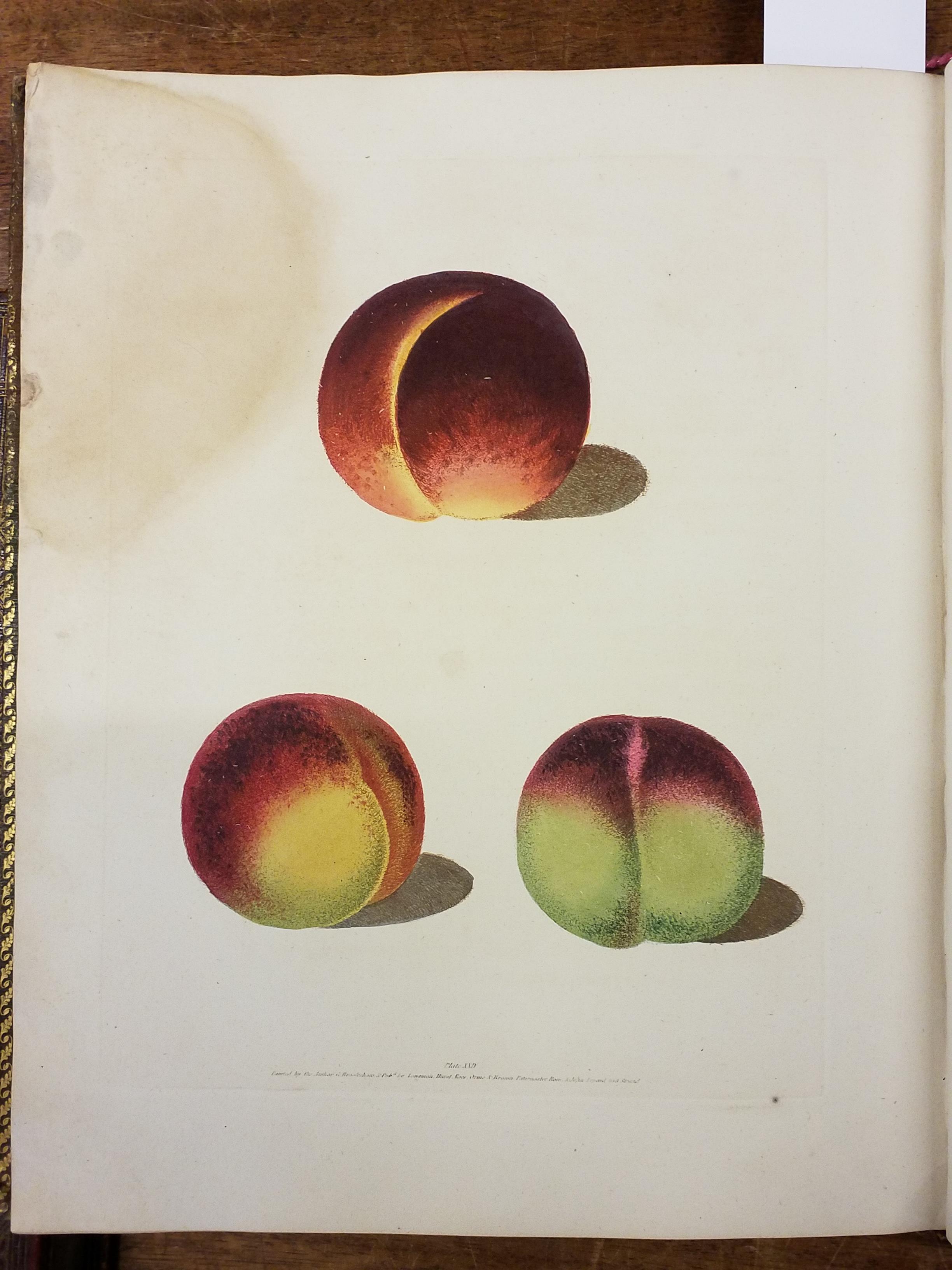 Lot 201 - Brookshaw (George). Pomona Britannica,