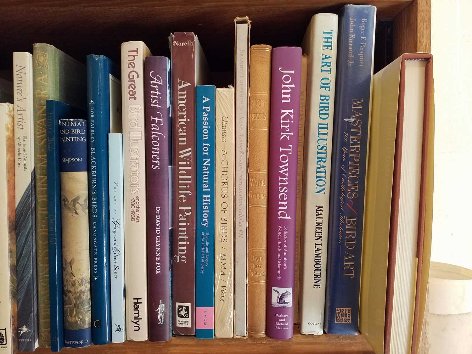 Lot 232 - Keulemans (Tony, and Jan Koldewey). Feathers