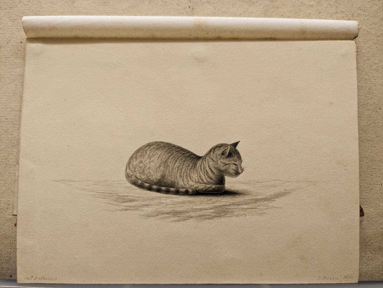 Lot 165 - Petherick (James). Album of miniature