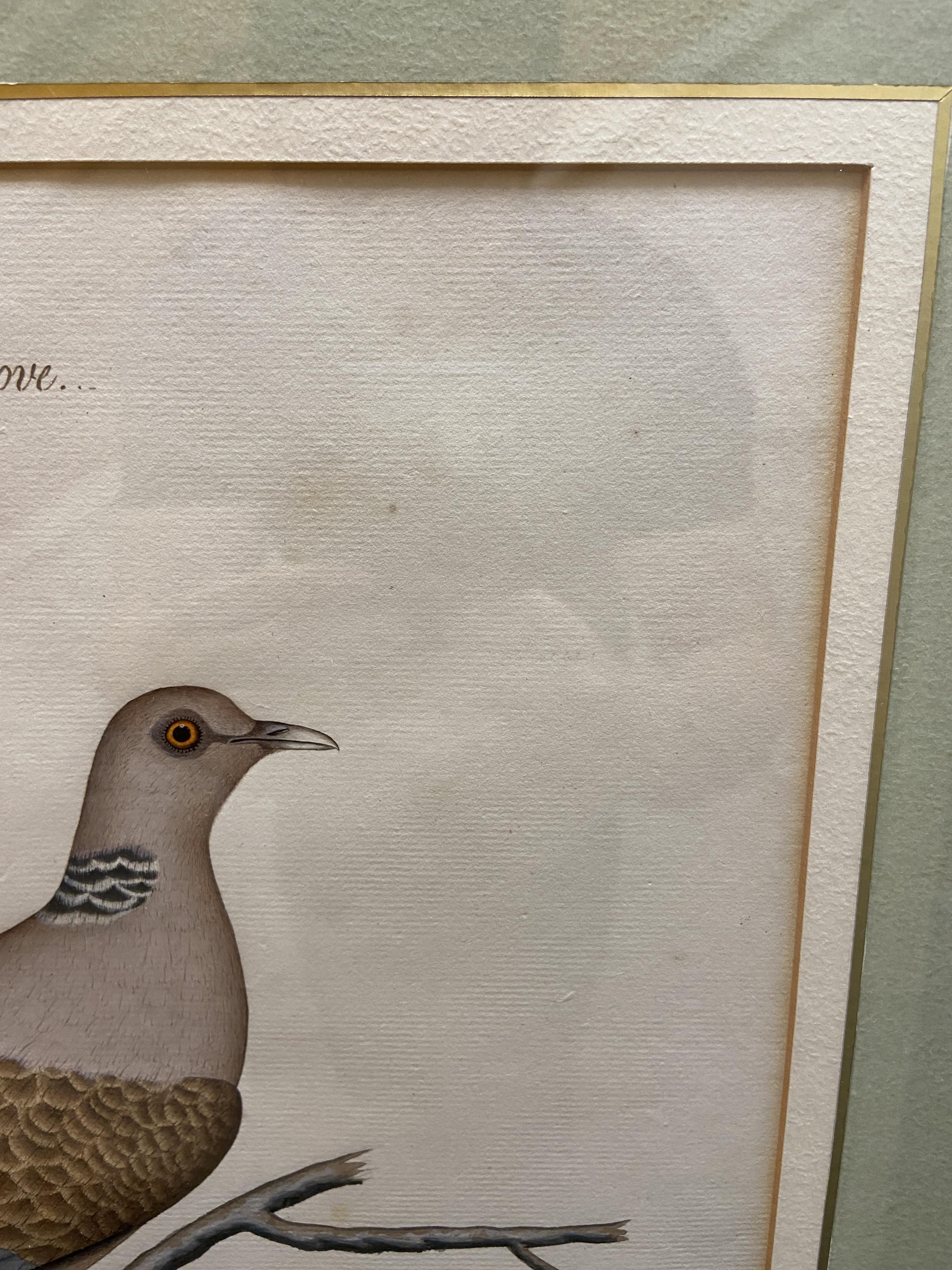 Lot 241 - Company School. Cheetul Pundook, & Totee,