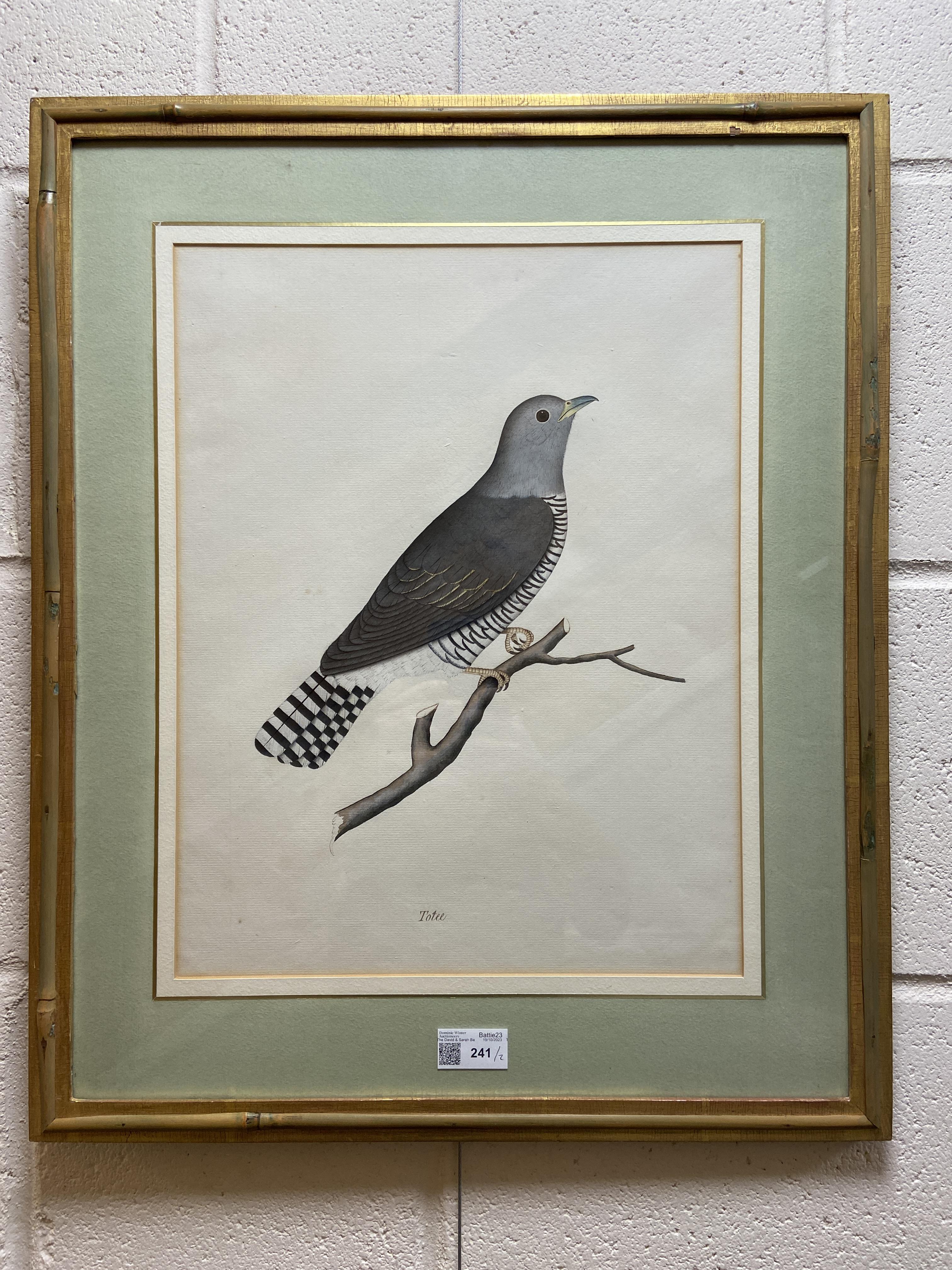 Lot 241 - Company School. Cheetul Pundook, & Totee,