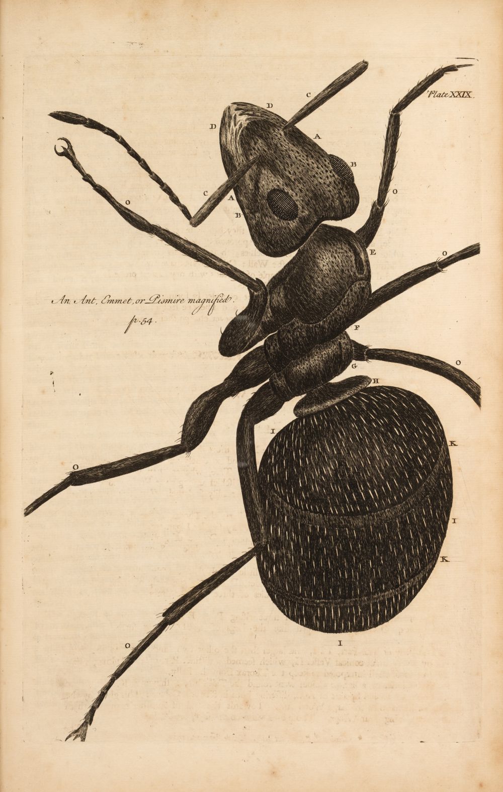 Lot 356 - Hooke (Robert). Micrographia Restaurata: Or