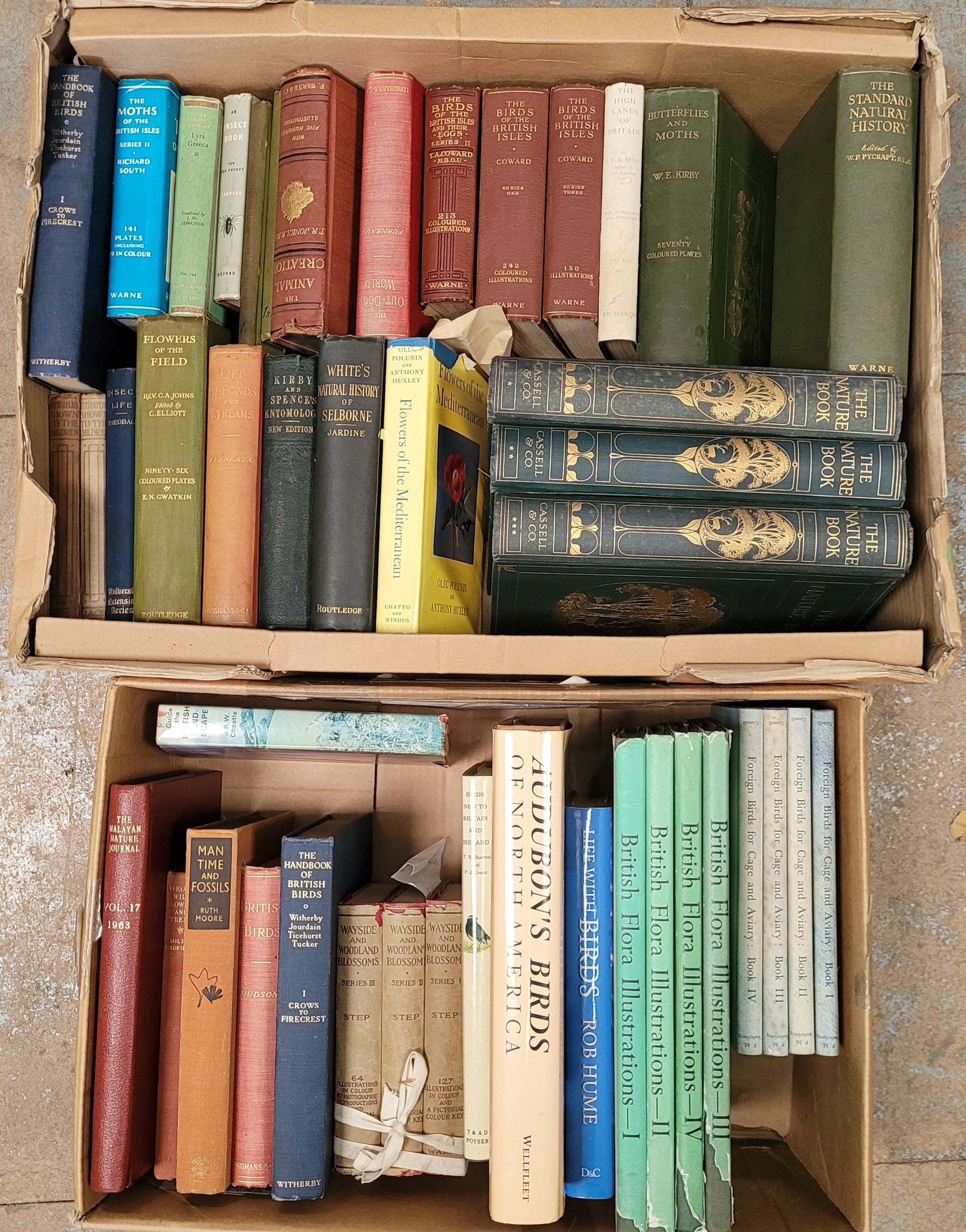 Lot 542 - Natural History. A large collection of