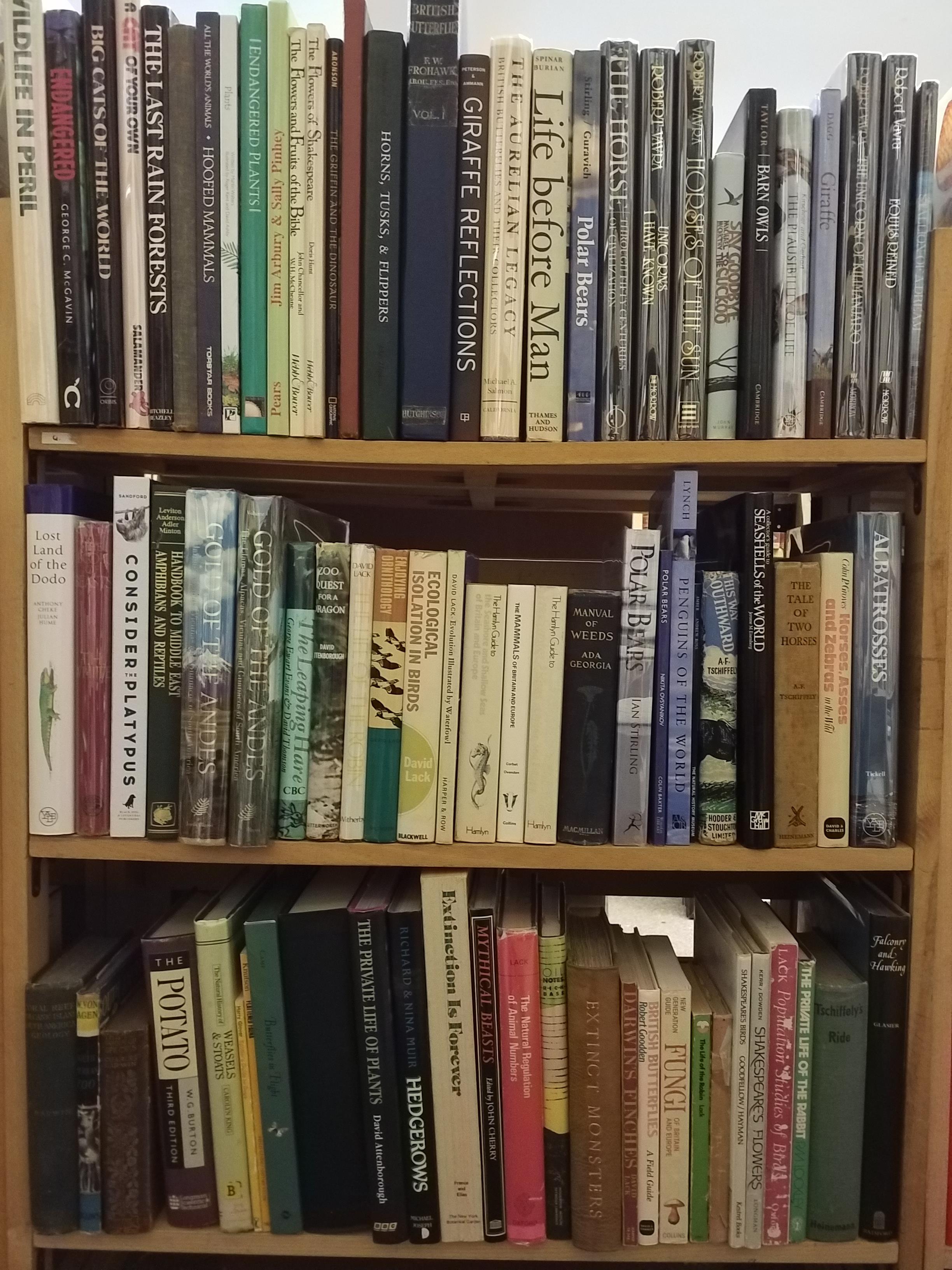 Lot 339 - Natural History. A large collection of