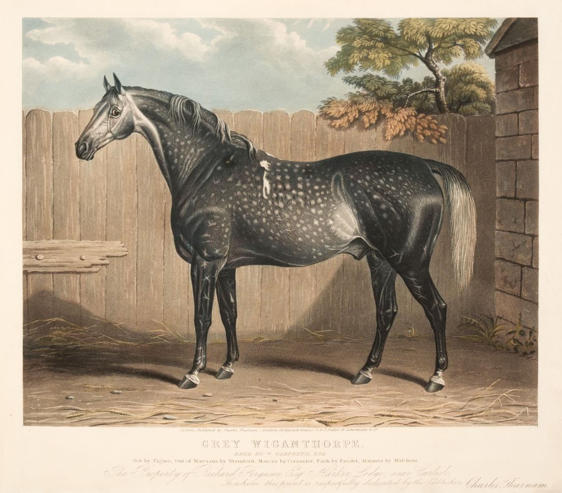 Lot 99 - Havell (Robert). Set of Four Shooting Prints,