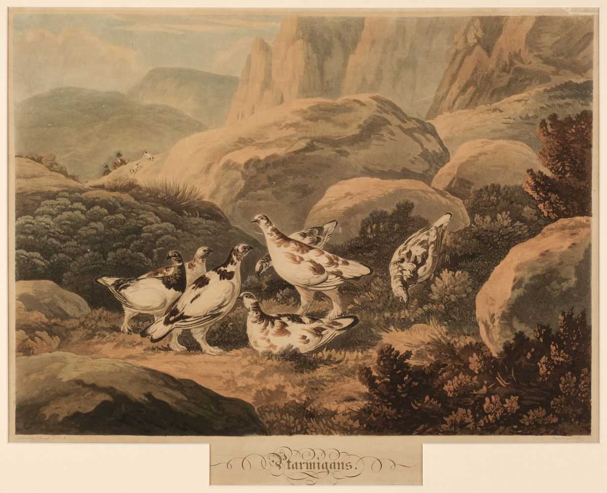 Lot 274 - Lewis (Frederick Christian). Ptarmigans,