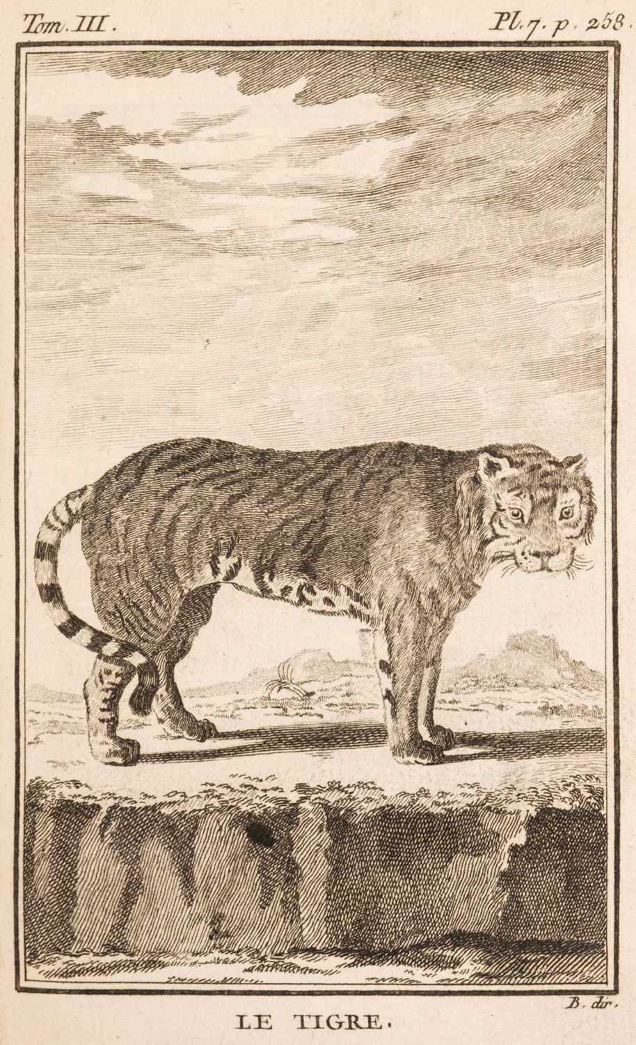 Lot 73 - Buffon (Georges-Louis Leclerc, Comte de).