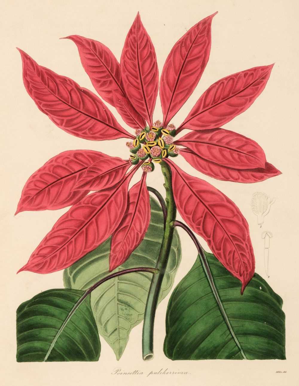 Lot 276 - Maund (Benjamin). The botanist, 5 vols.,