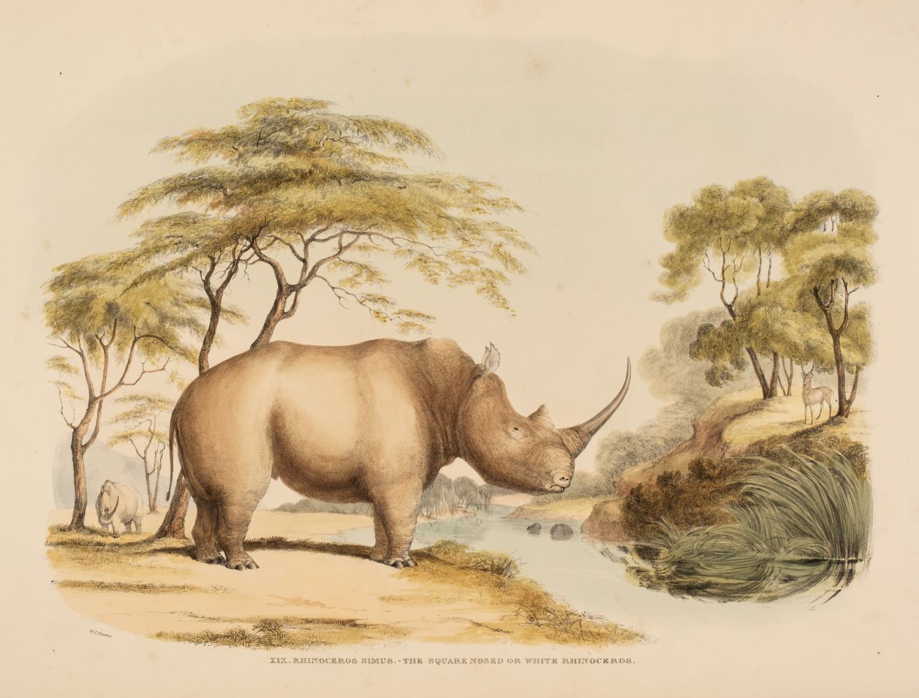 Lot 78 - Harris (Captain William Cornwallis).