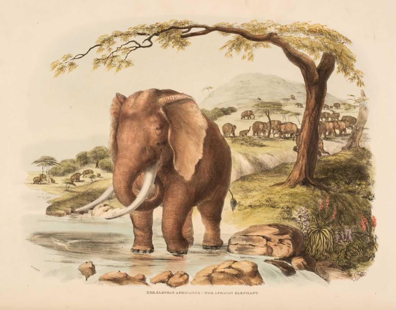 Lot 78 - Harris (Captain William Cornwallis).